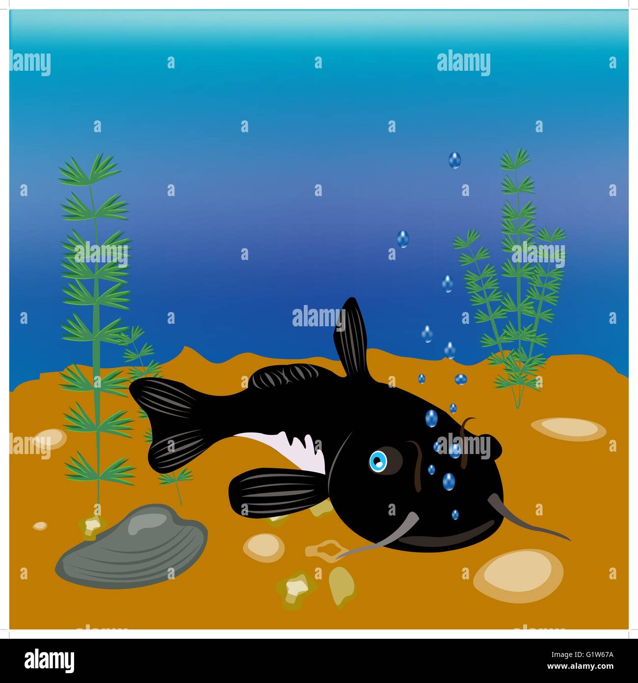 Big fish sheatfish on day Stock Vector Image & Art - Alamy