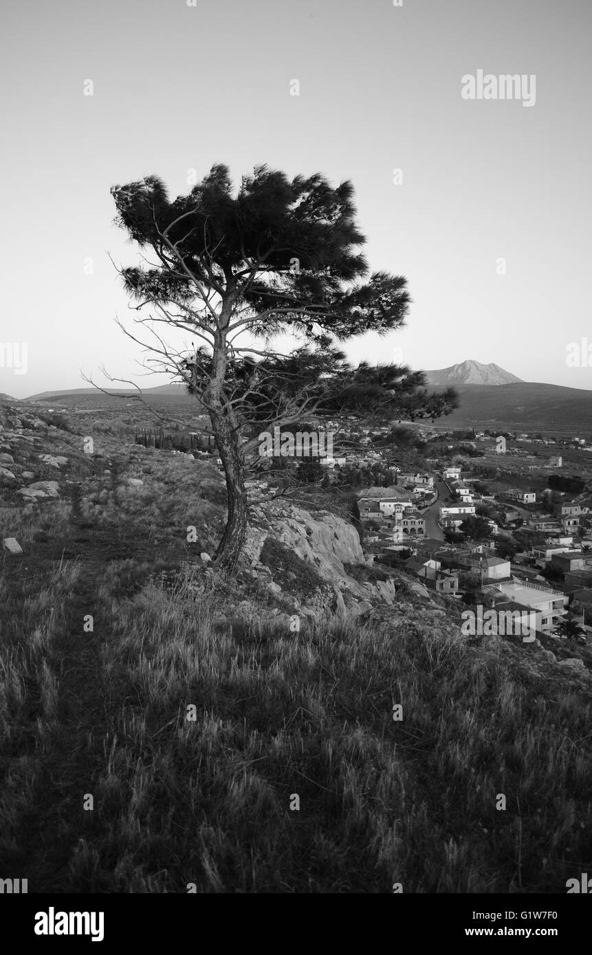 Photography of nature in the open space Stock Photo - Alamy