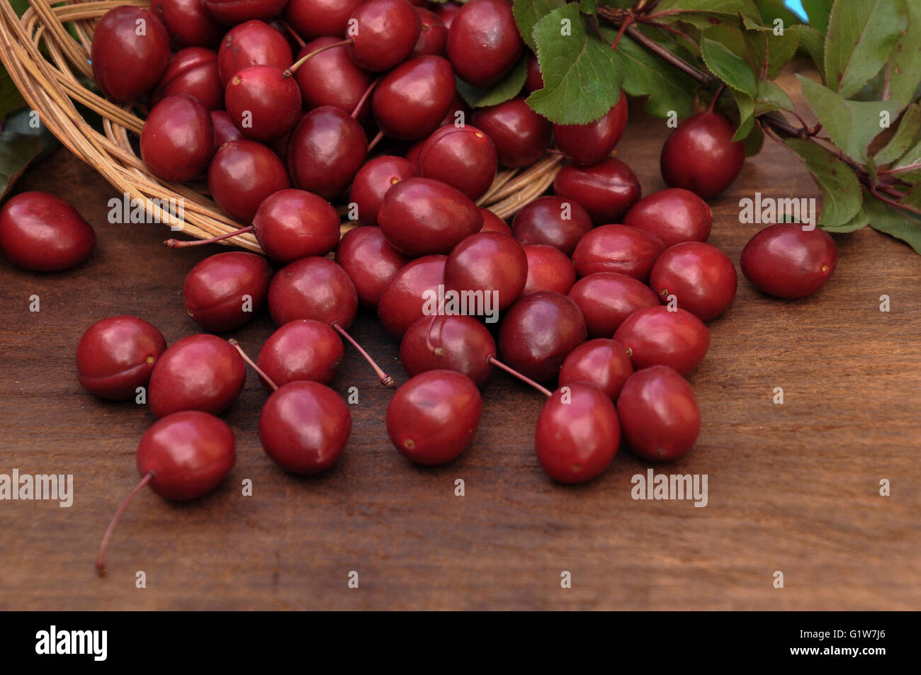 Fresh plum berries red hi-res stock photography and images - Alamy