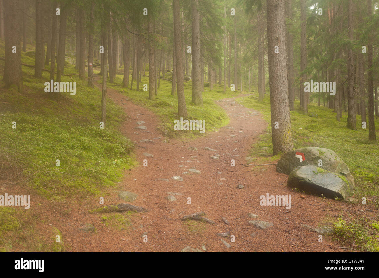 A single alpine path splits in two different directions. It's an ...