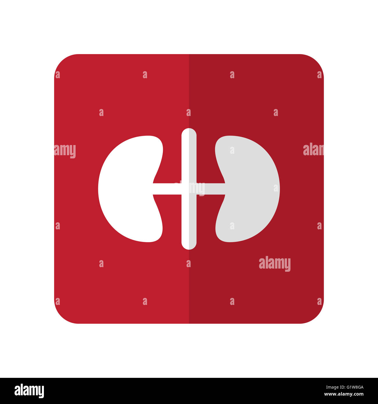 Kidneys hi-res stock photography and images - Alamy