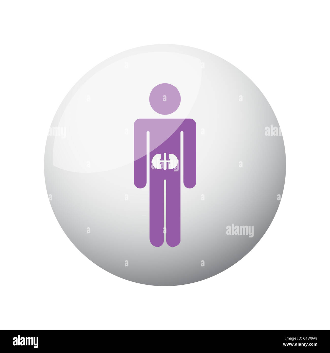 Flat purple Kidneys icon on 3d sphere Stock Photo - Alamy