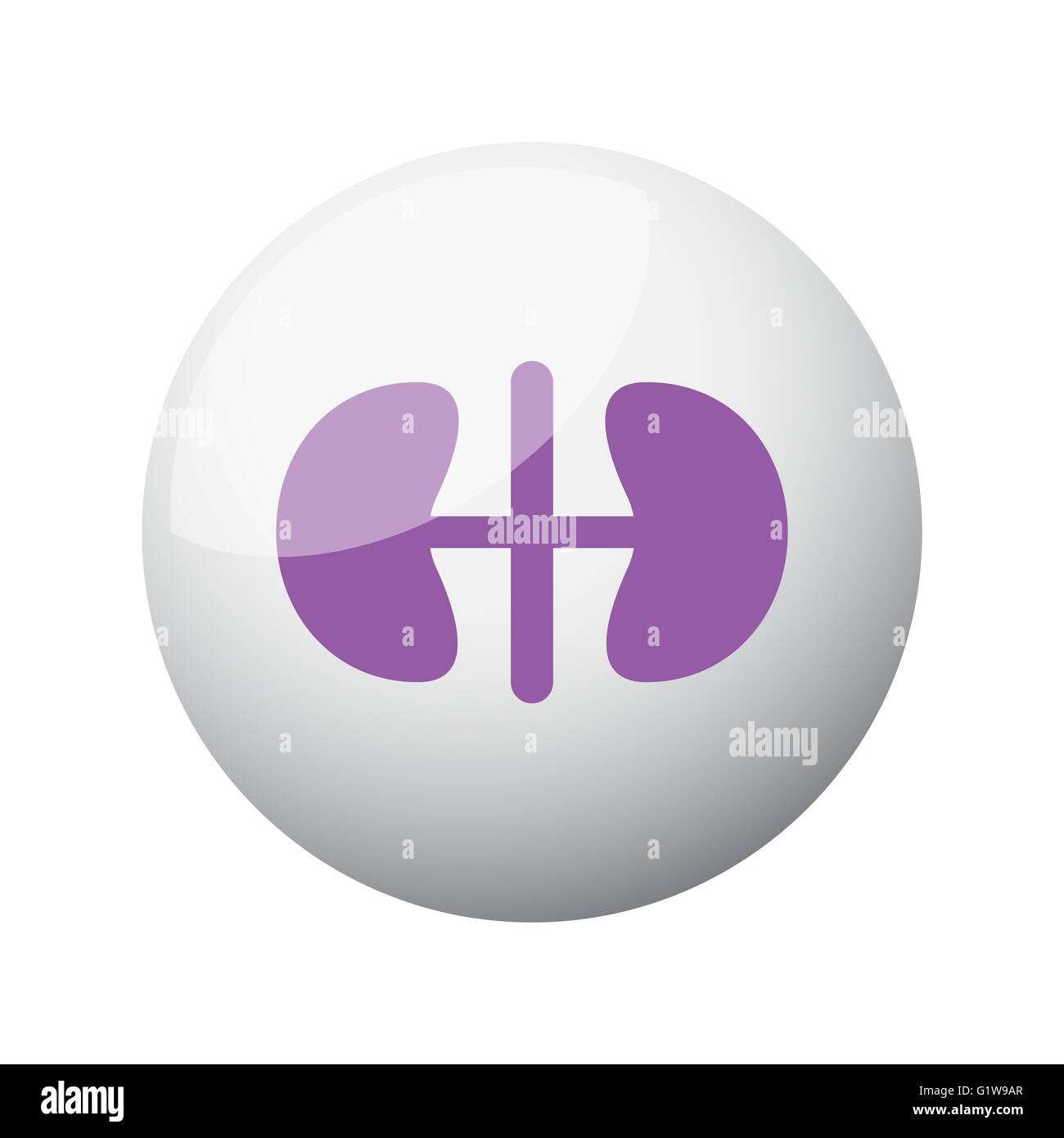 Purple anatomy hi-res stock photography and images - Alamy