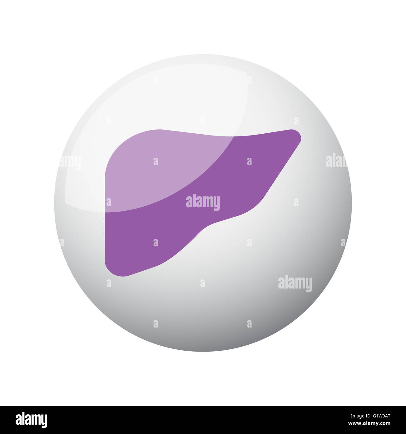 Liver icon hi-res stock photography and images - Alamy