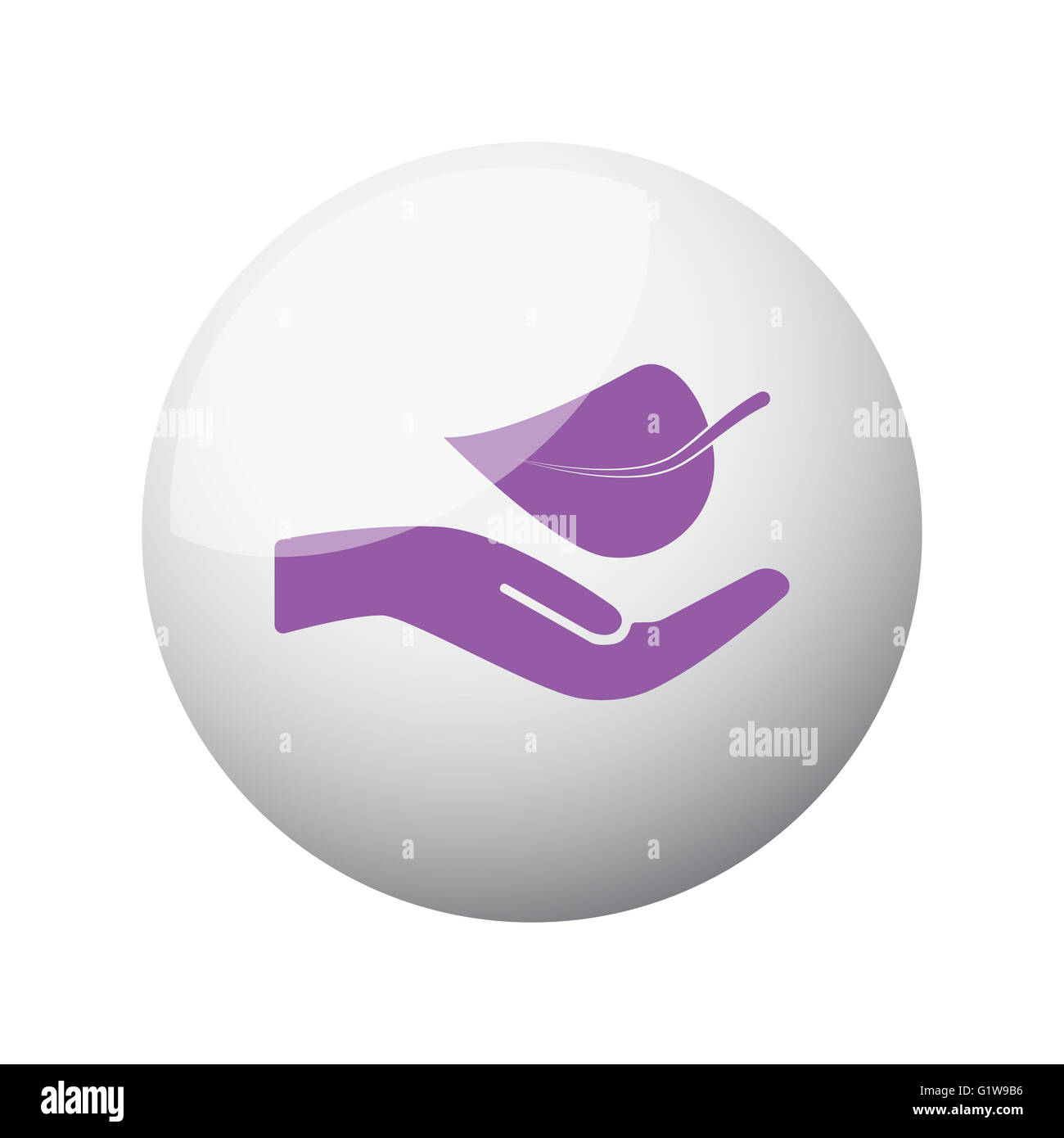 Leaf icon in hand hi-res stock photography and images - Alamy