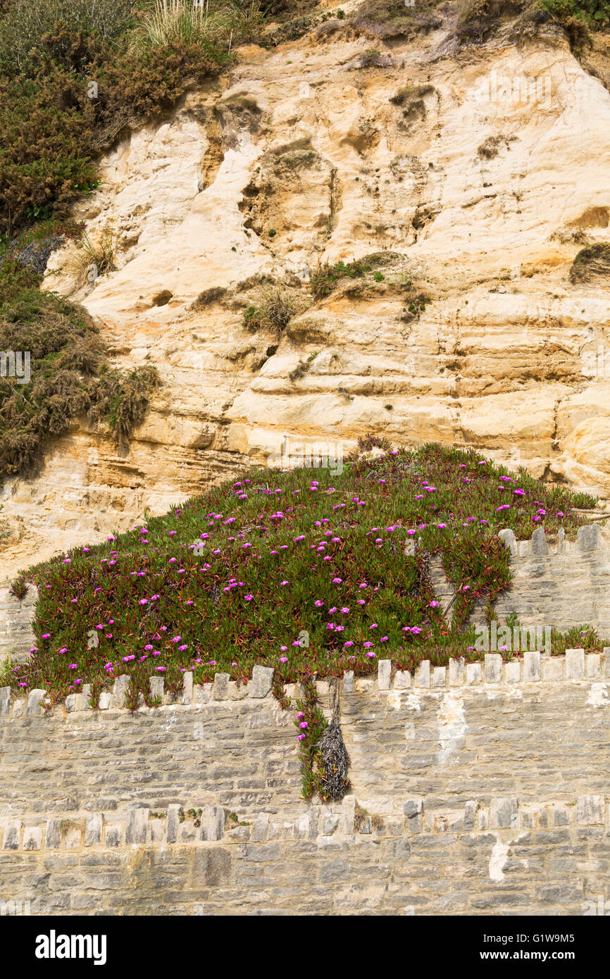 Cliff cliffs cliffside hi-res stock photography and images - Alamy