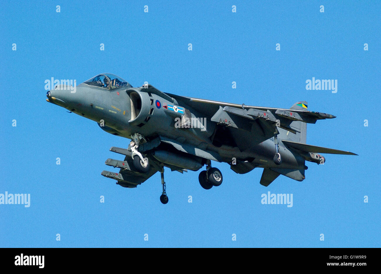 Raf harrier flying hi-res stock photography and images - Alamy