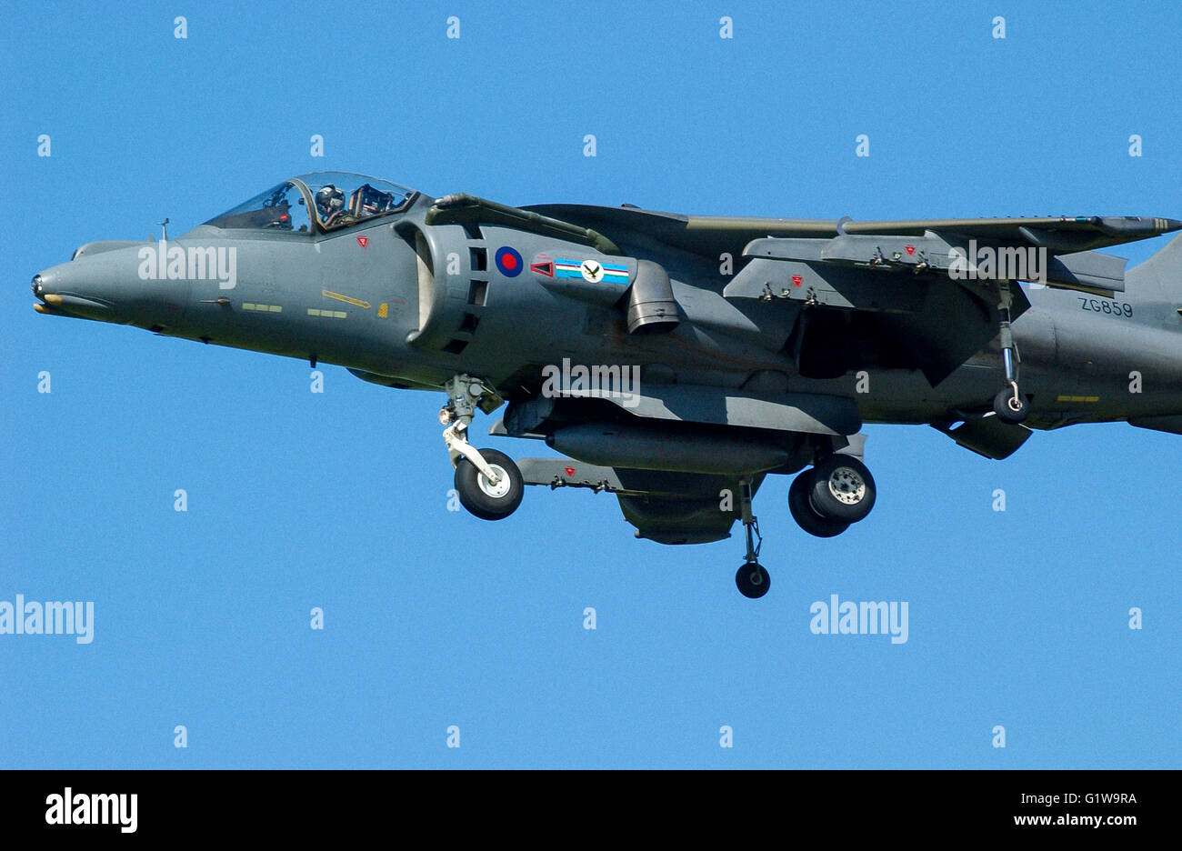 Harrier jet in flight hi-res stock photography and images - Alamy