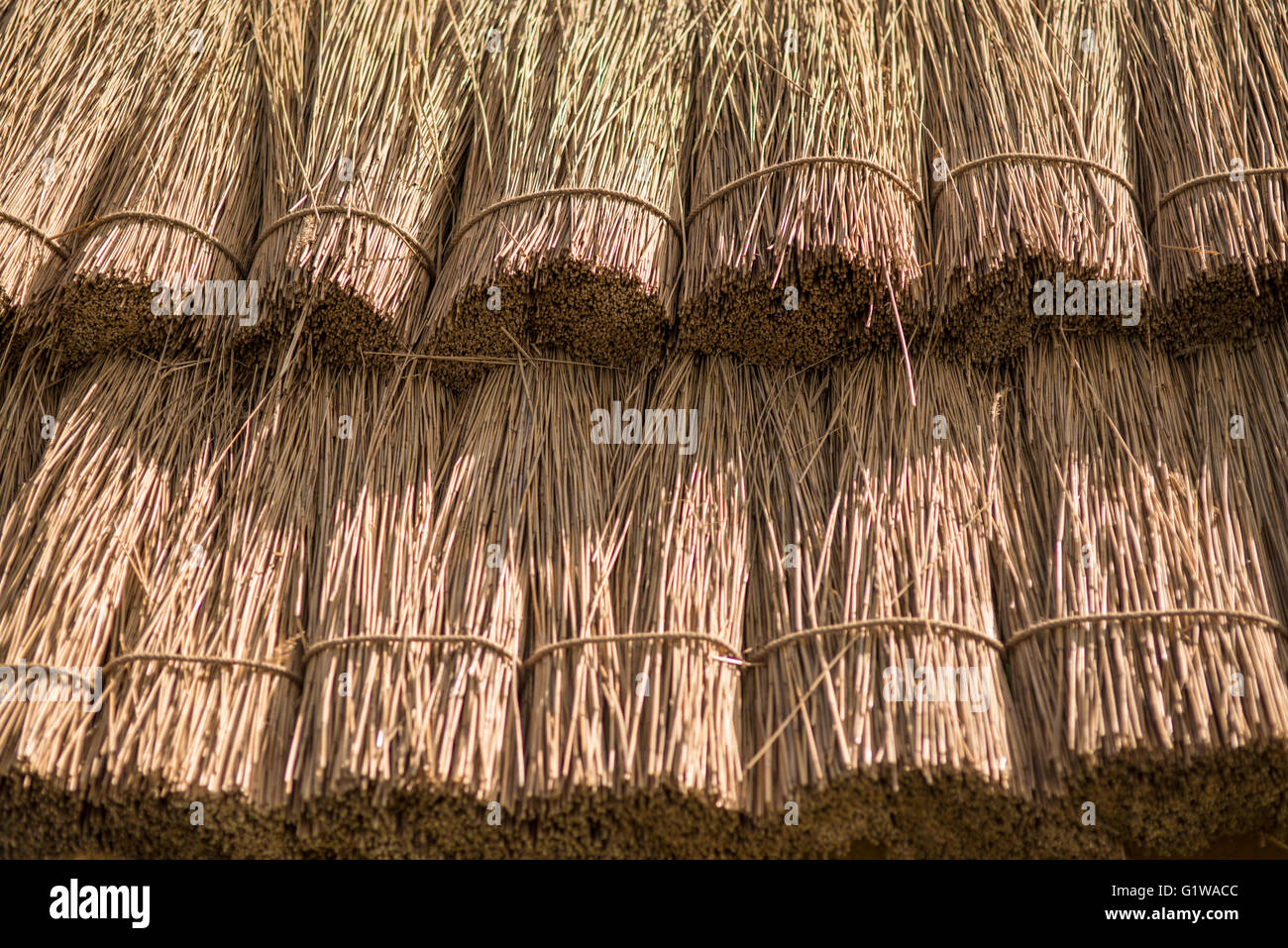 Tropical straw roof hut hi-res stock photography and images - Alamy