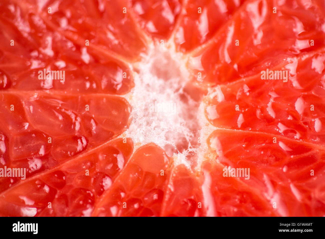 Grapefruit close up hi-res stock photography and images - Alamy