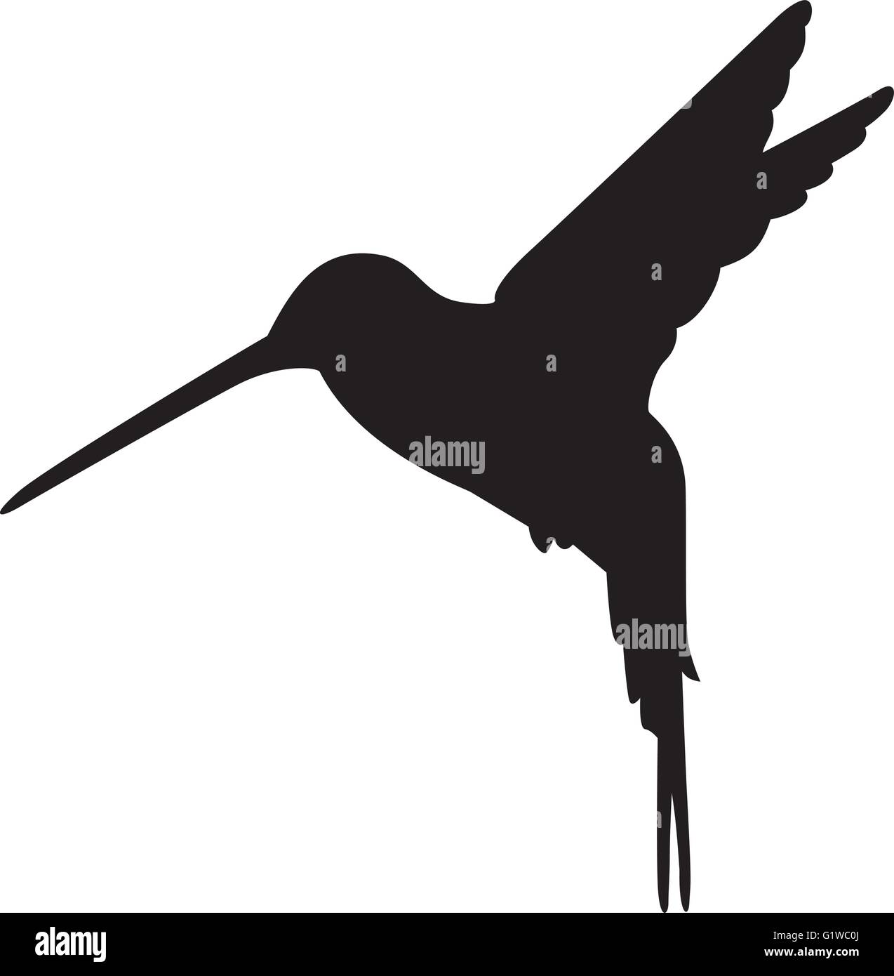 Hummingbird silhouette Cut Out Stock Images & Pictures - Alamy
