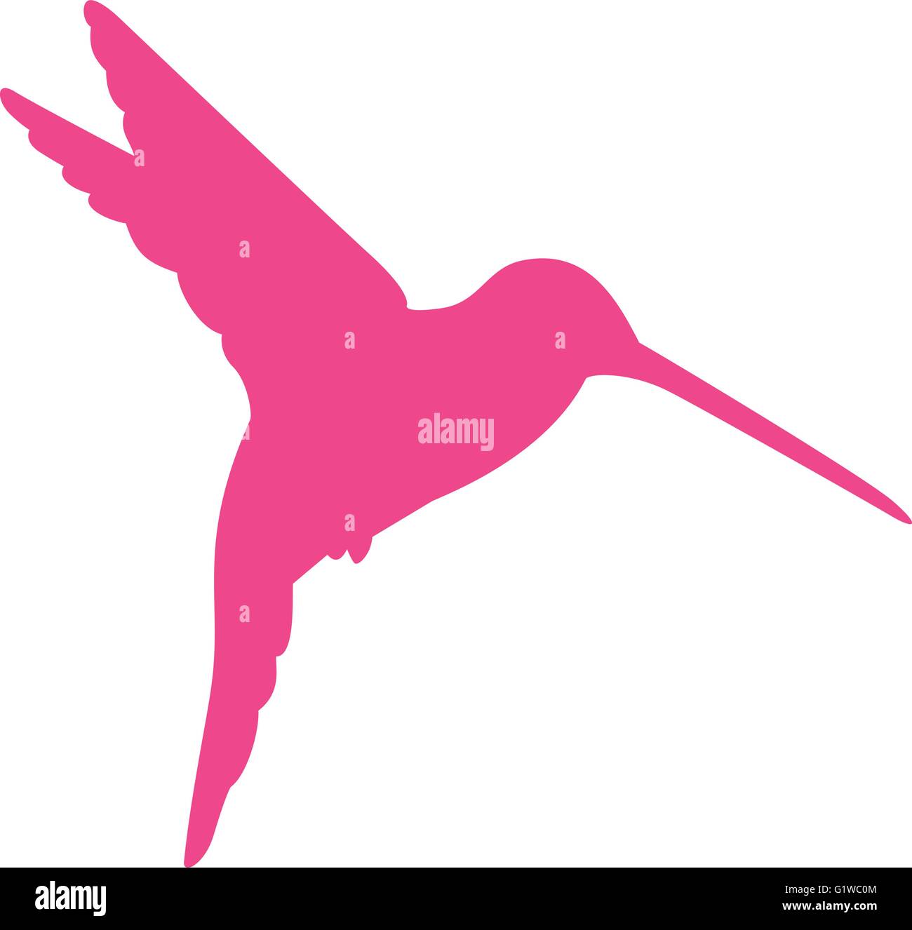 Hummingbird flight Stock Vector Images - Alamy