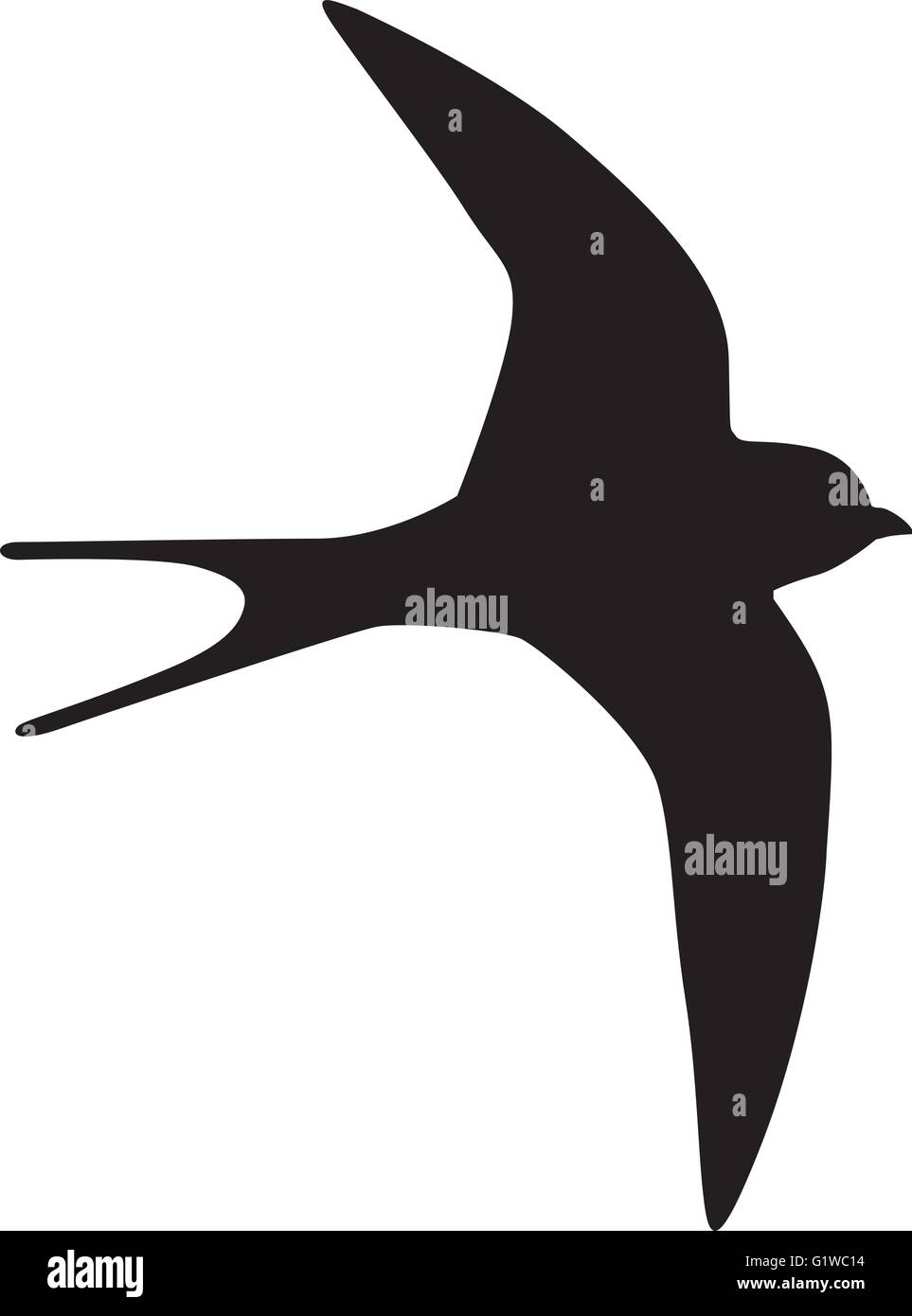Martin bird silhouette Stock Vector Image & Art - Alamy