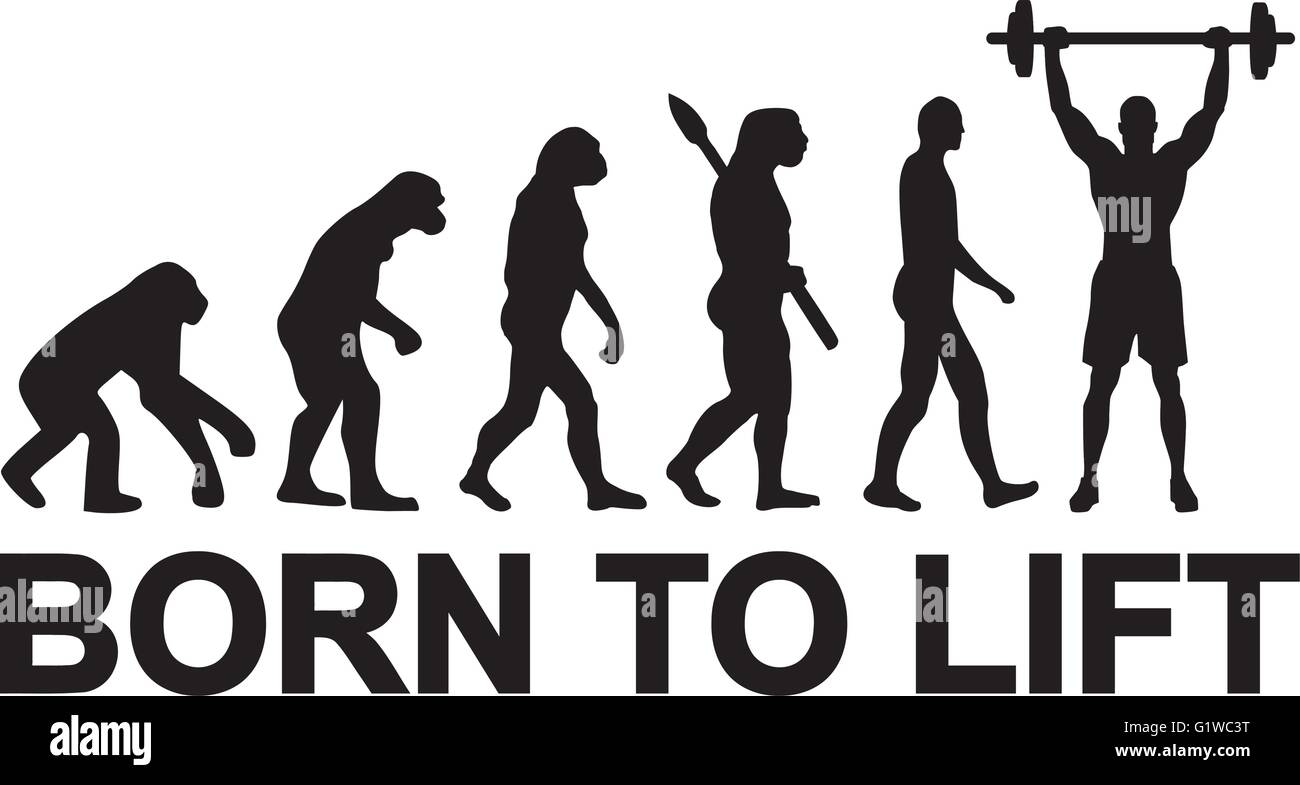 Born to lift weightlifter evolution Stock Vector Image & Art - Alamy