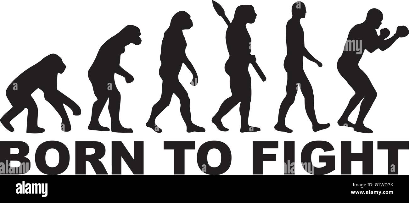 Boxing evolution hi-res stock photography and images - Alamy