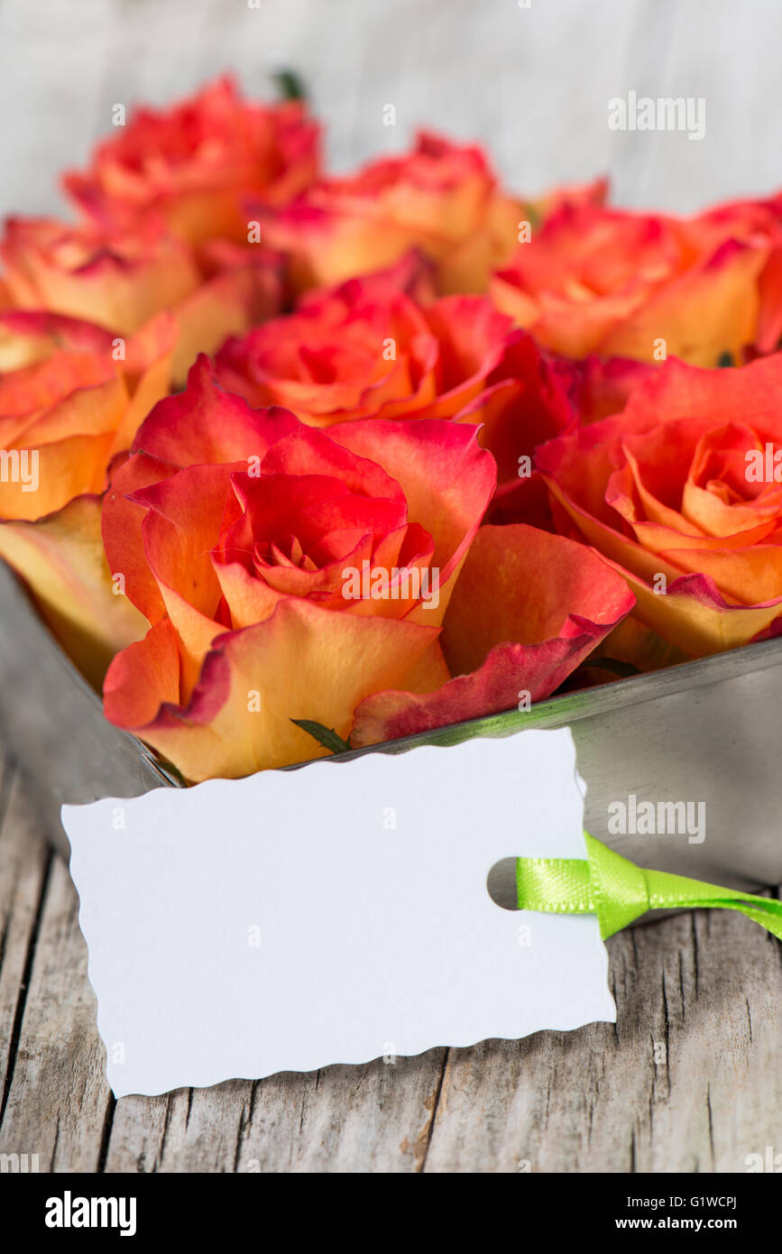 Gift tag in the fron of red-orange roses Stock Photo - Alamy