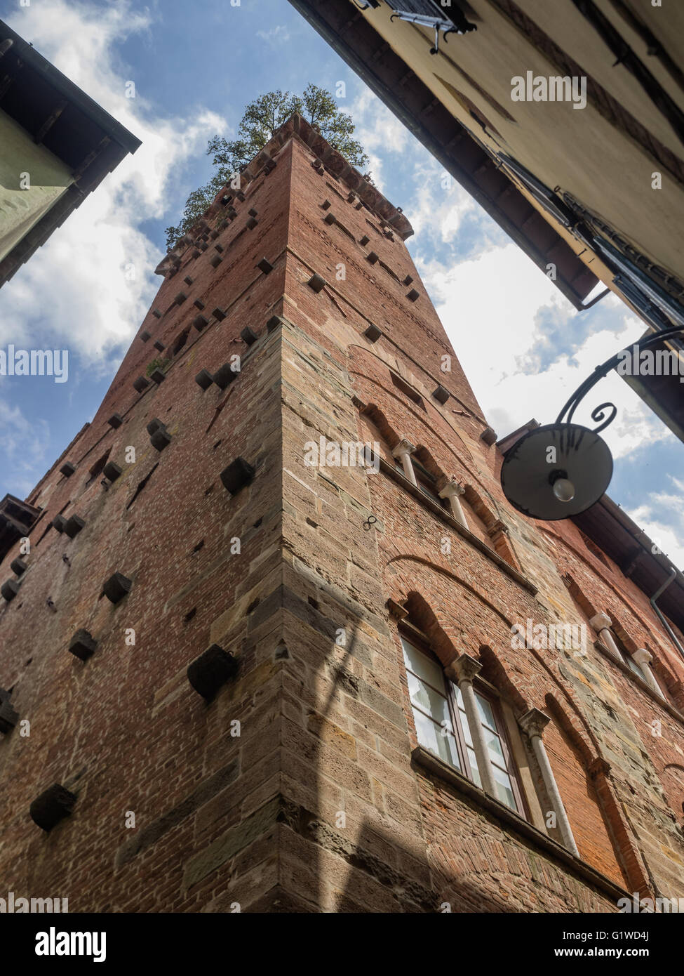 Guinigi tower with trees on the top in Lucca, Italy Stock Photo - Alamy