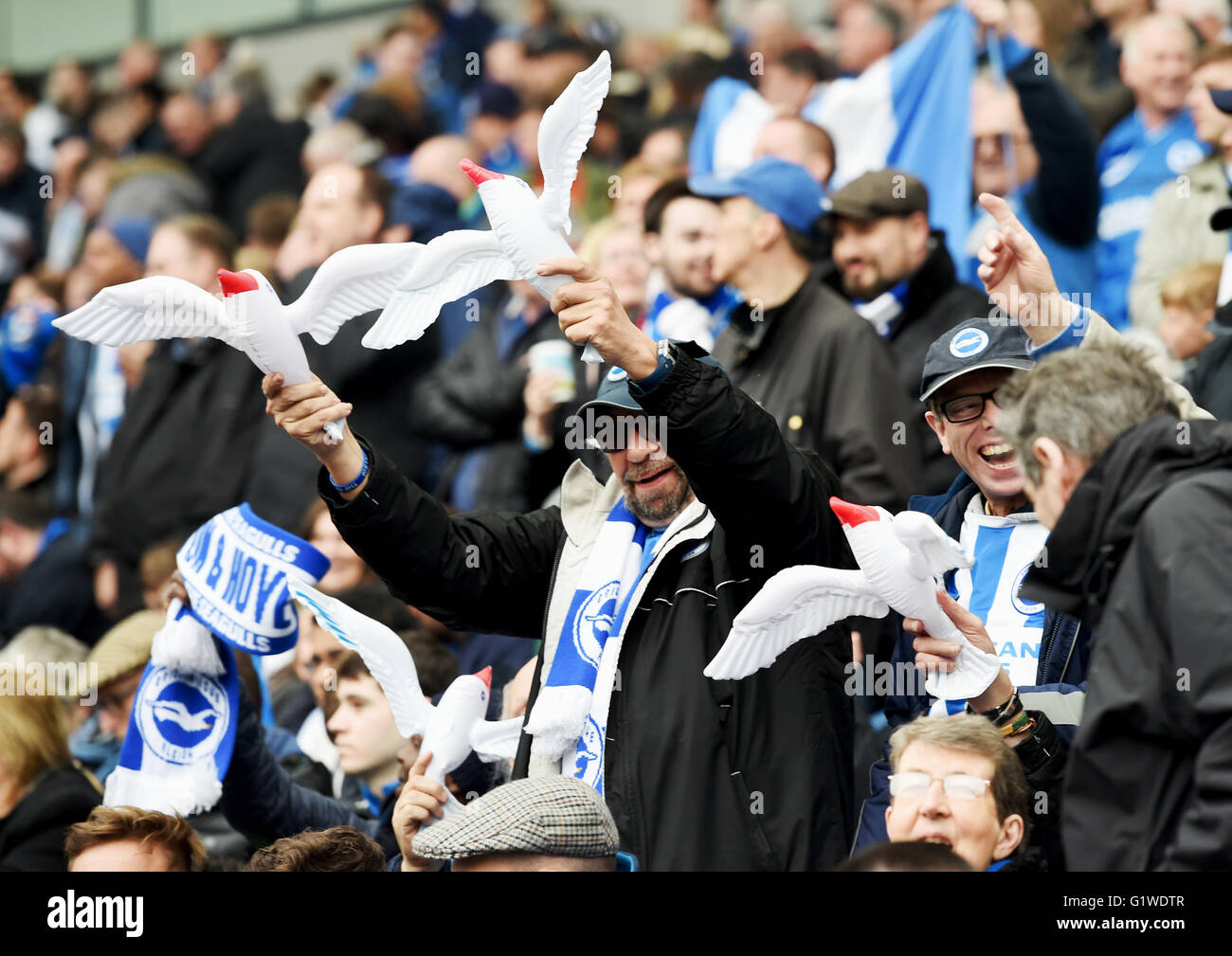 Brighton and Hove Albion football club fans with toy seagulls Stock ...