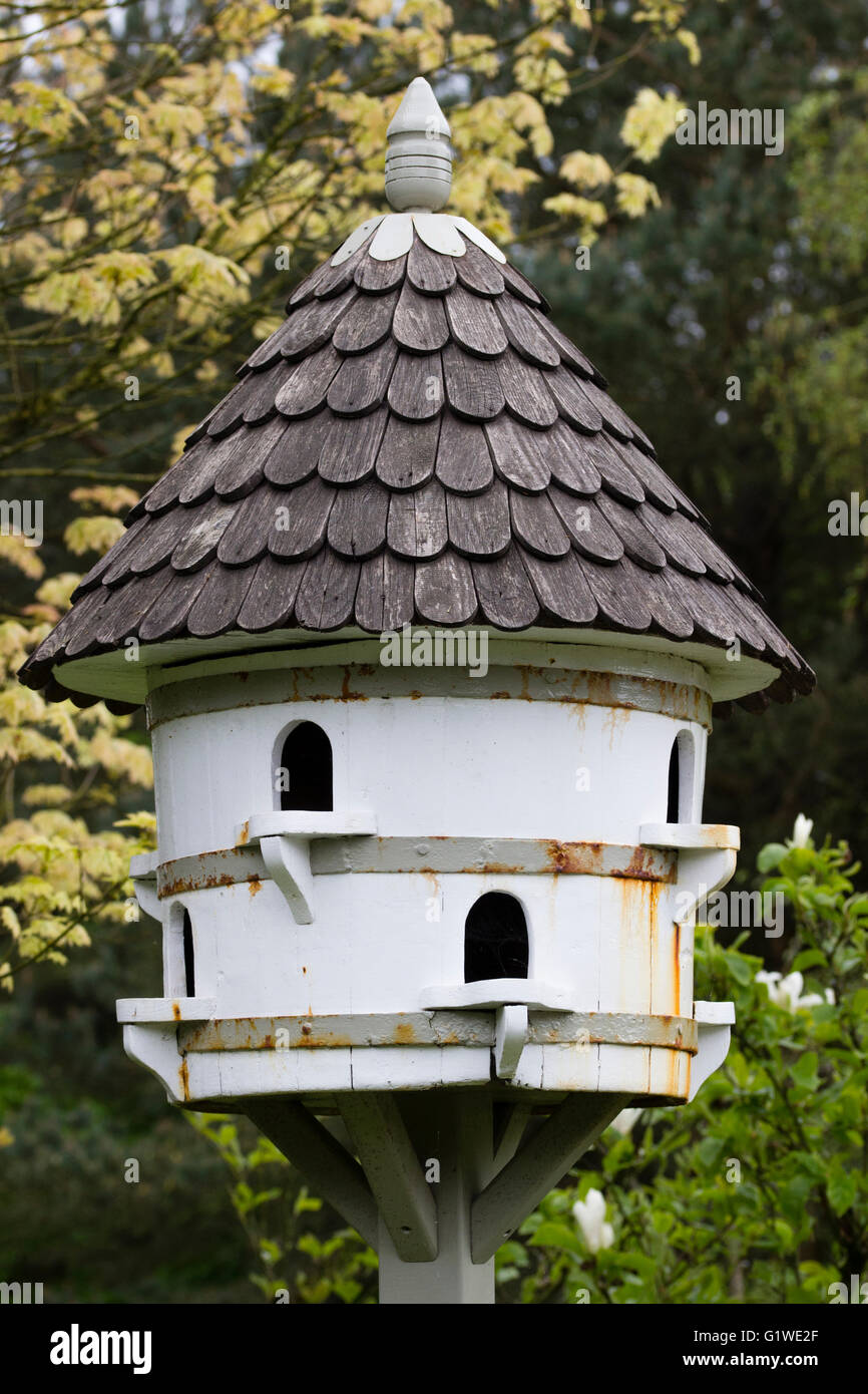 Small, pole mounted decorative dovecote in a Devon garden Stock Photo ...