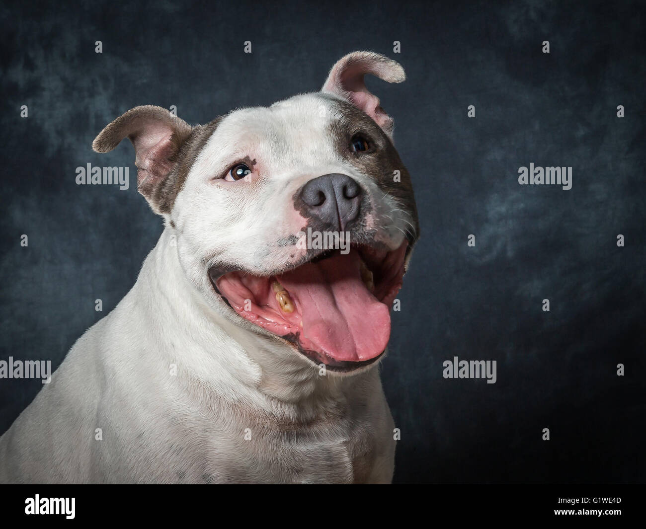 Odan hi-res stock photography and images - Alamy