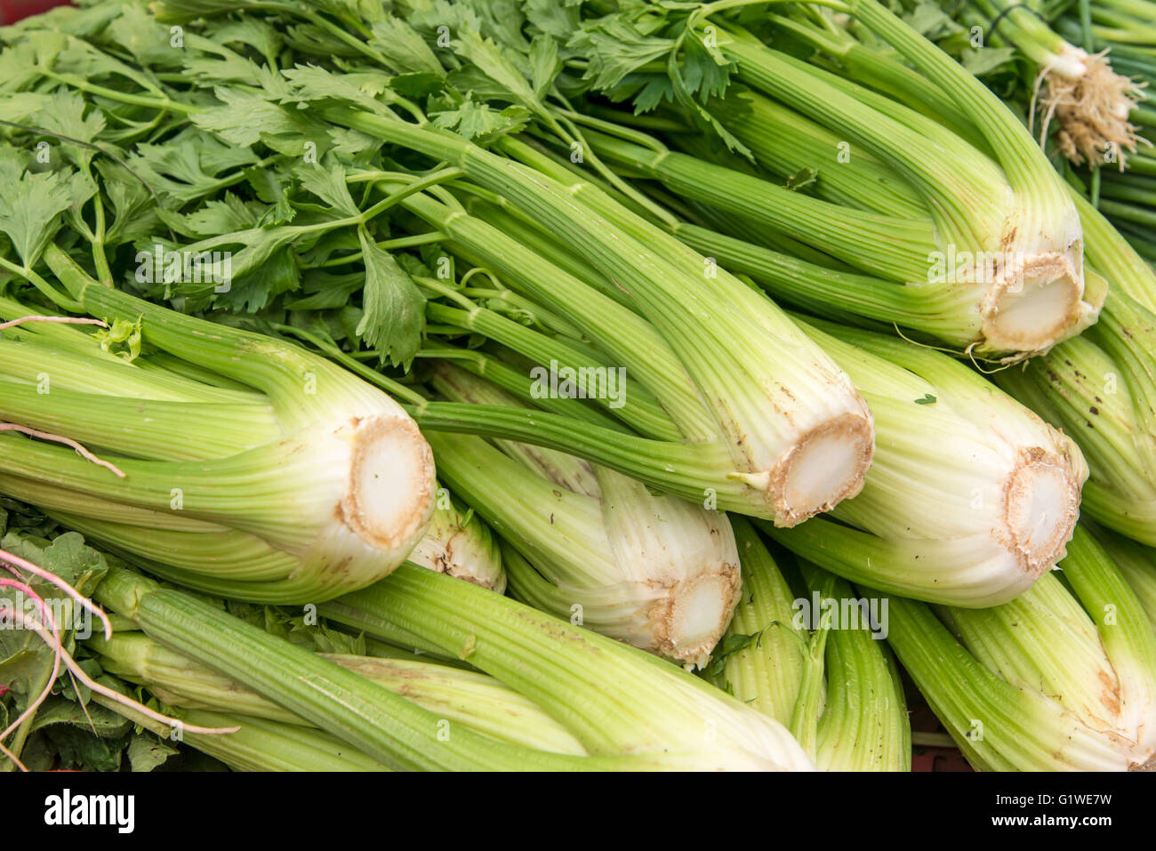 Kitchen garden market hi-res stock photography and images - Alamy