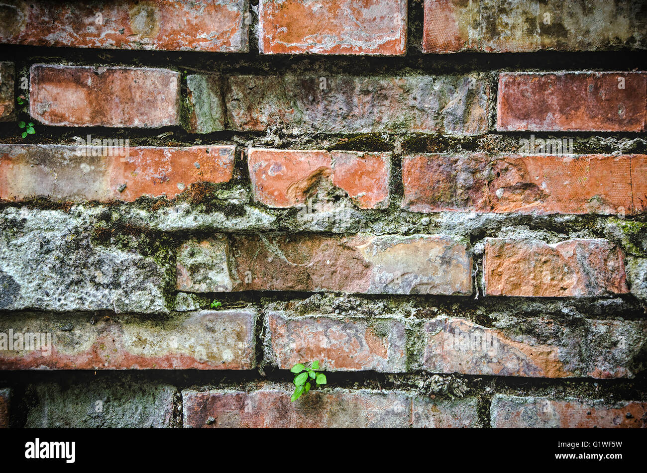 brick wall texture grunge ruined Stock Photo - Alamy