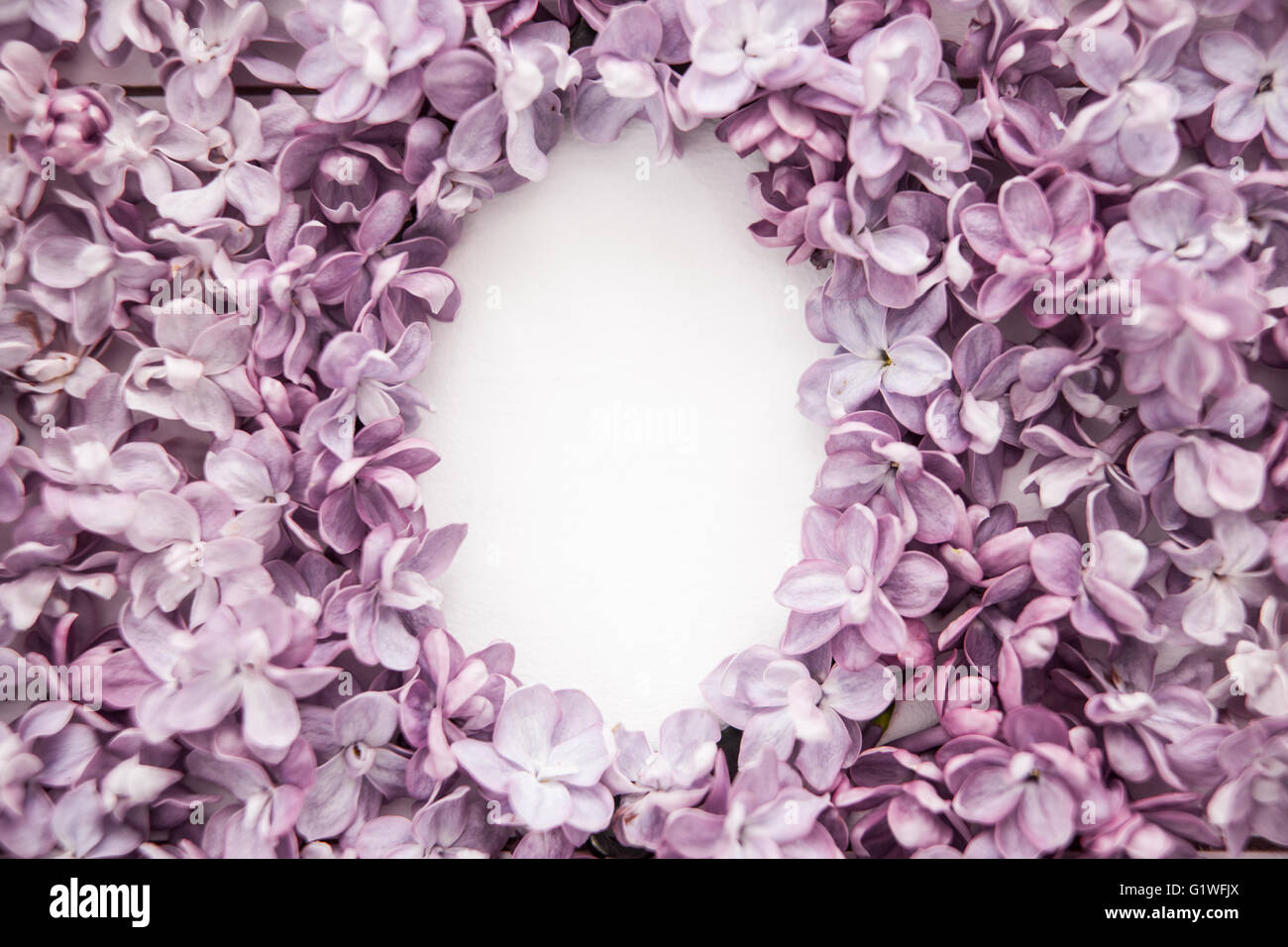 Oval shaped background Stock Photo - Alamy