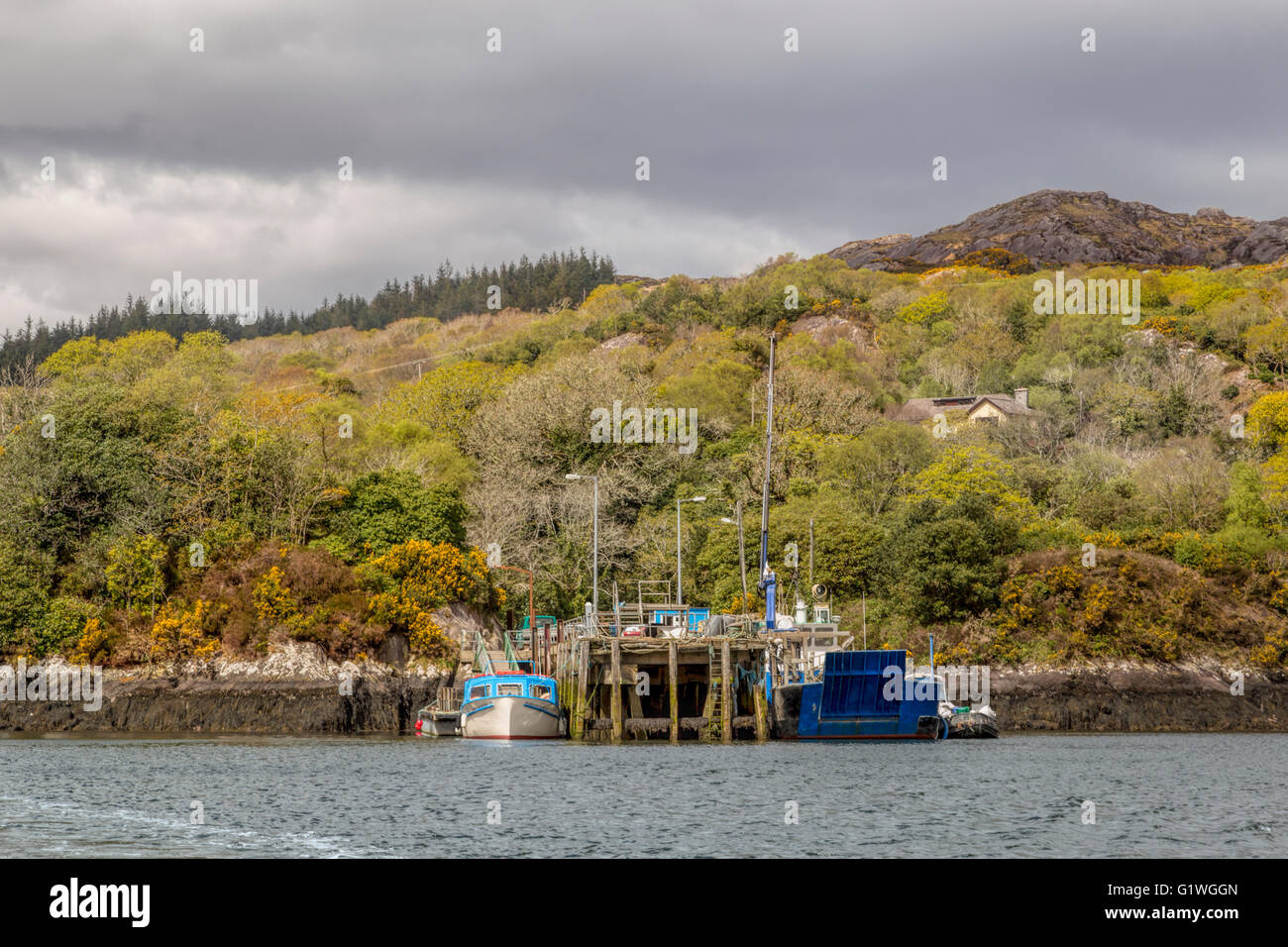 Ferry harbour queen ii hi-res stock photography and images - Alamy