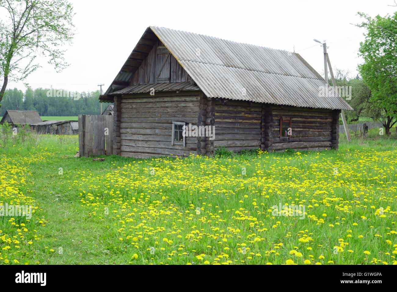 old wooden house stands alone in the abandoned village people Stock ...