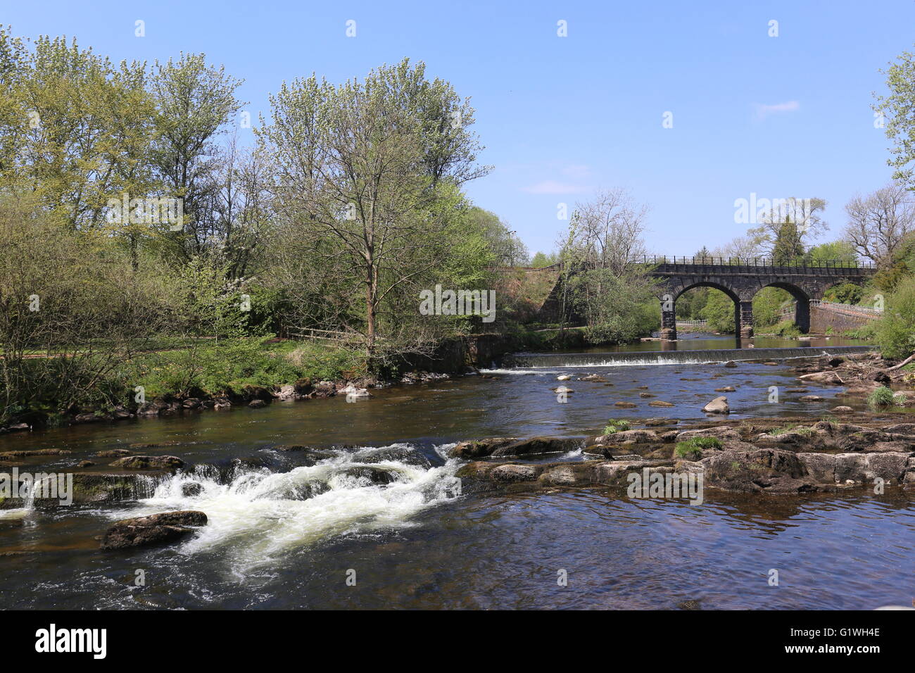 Bridge over Allan Water Dunblane Scotland May 2016 Stock Photo - Alamy