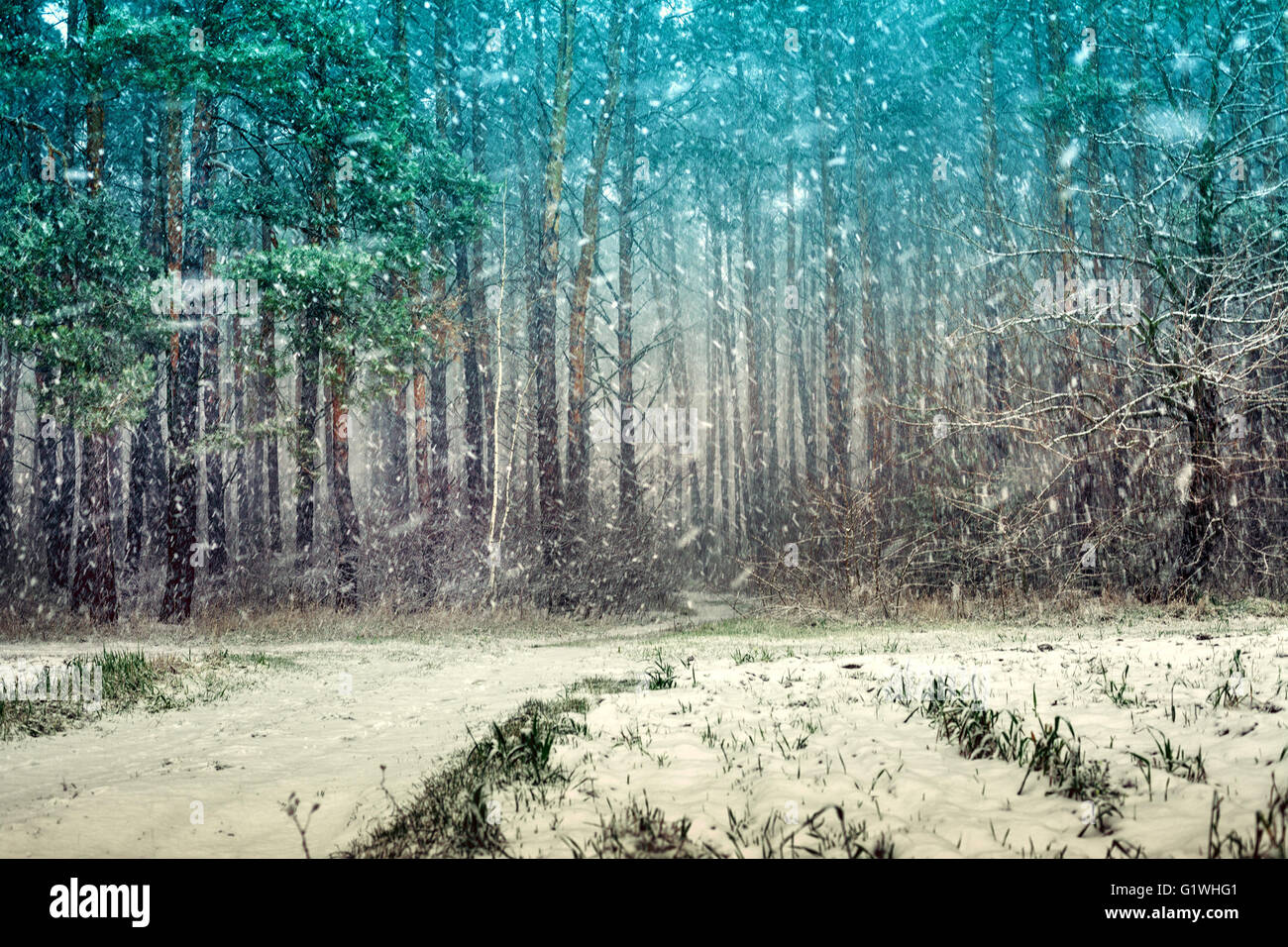 Cloudy weather first snow hi-res stock photography and images - Alamy