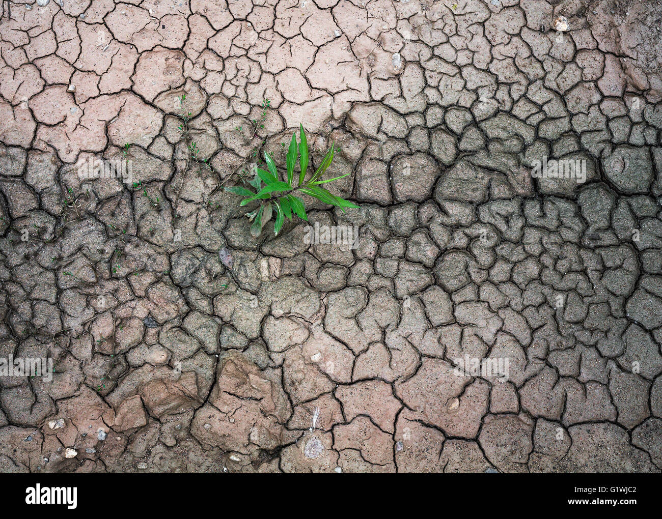 Climate earth hi-res stock photography and images - Alamy