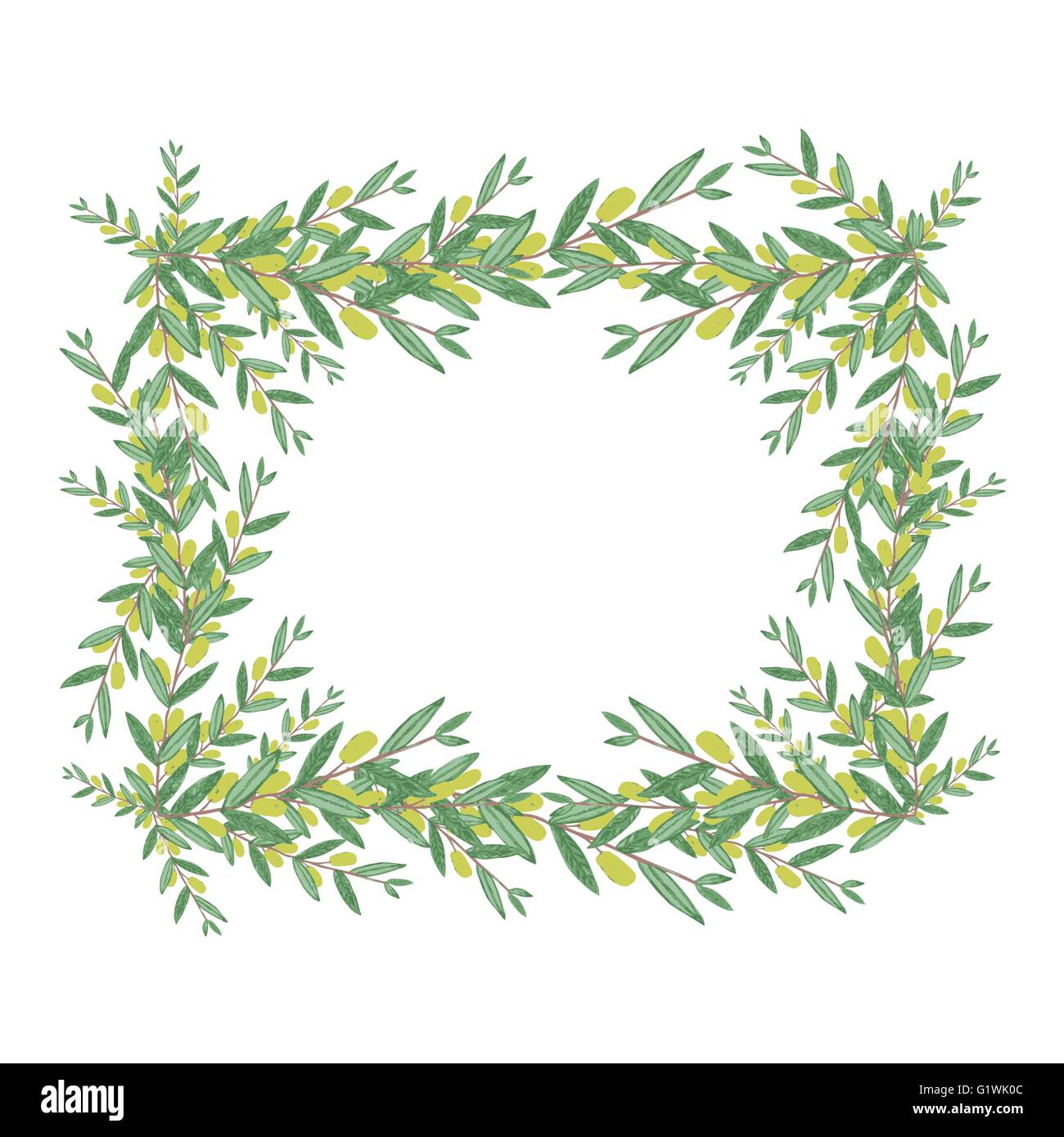 Watercolor olive wreath. Isolated vector illustration on white ...