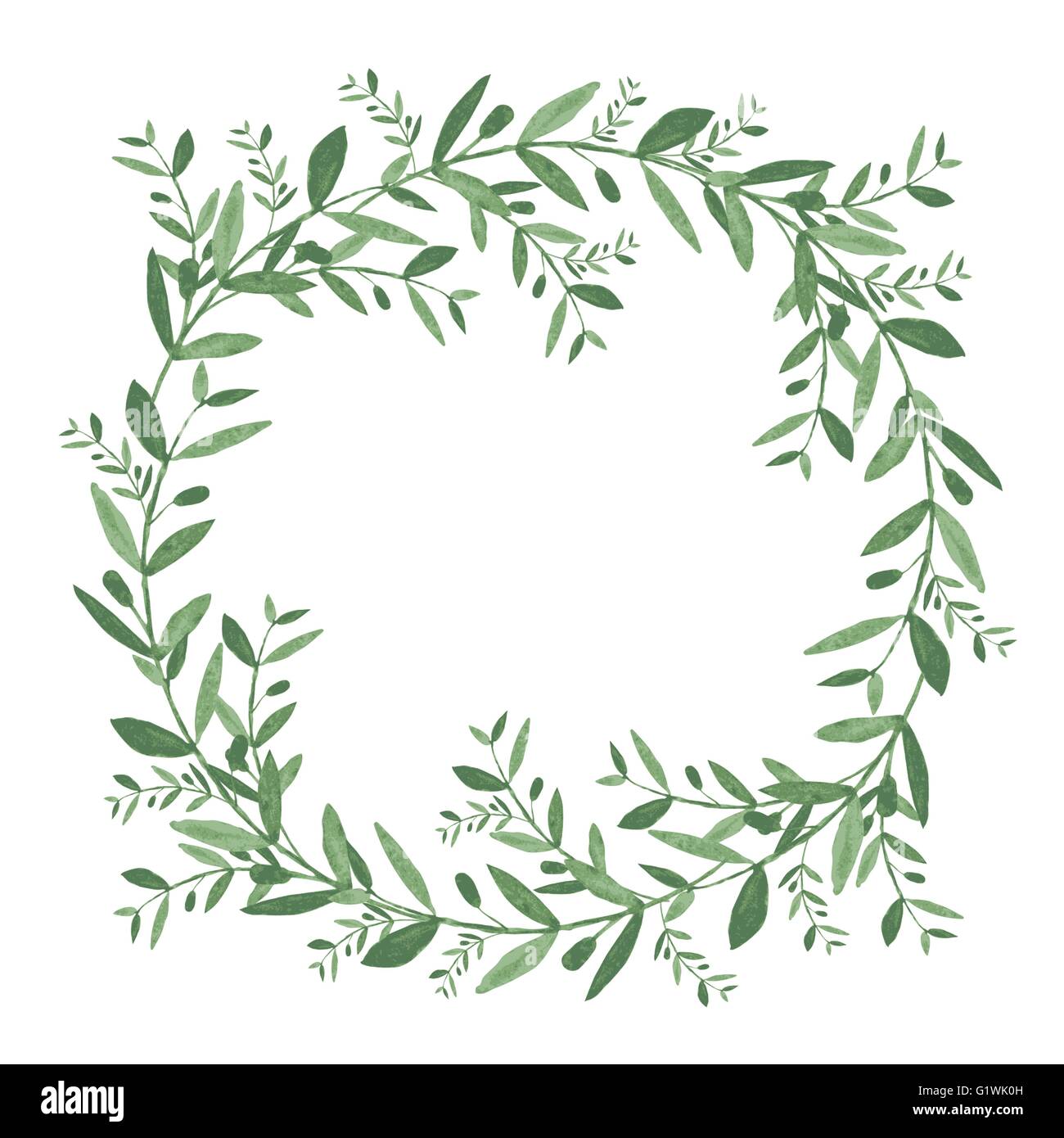 Watercolor olive wreath. Isolated vector illustration on white ... Watercolor olive wreath. Isolated vector illustration on white ...