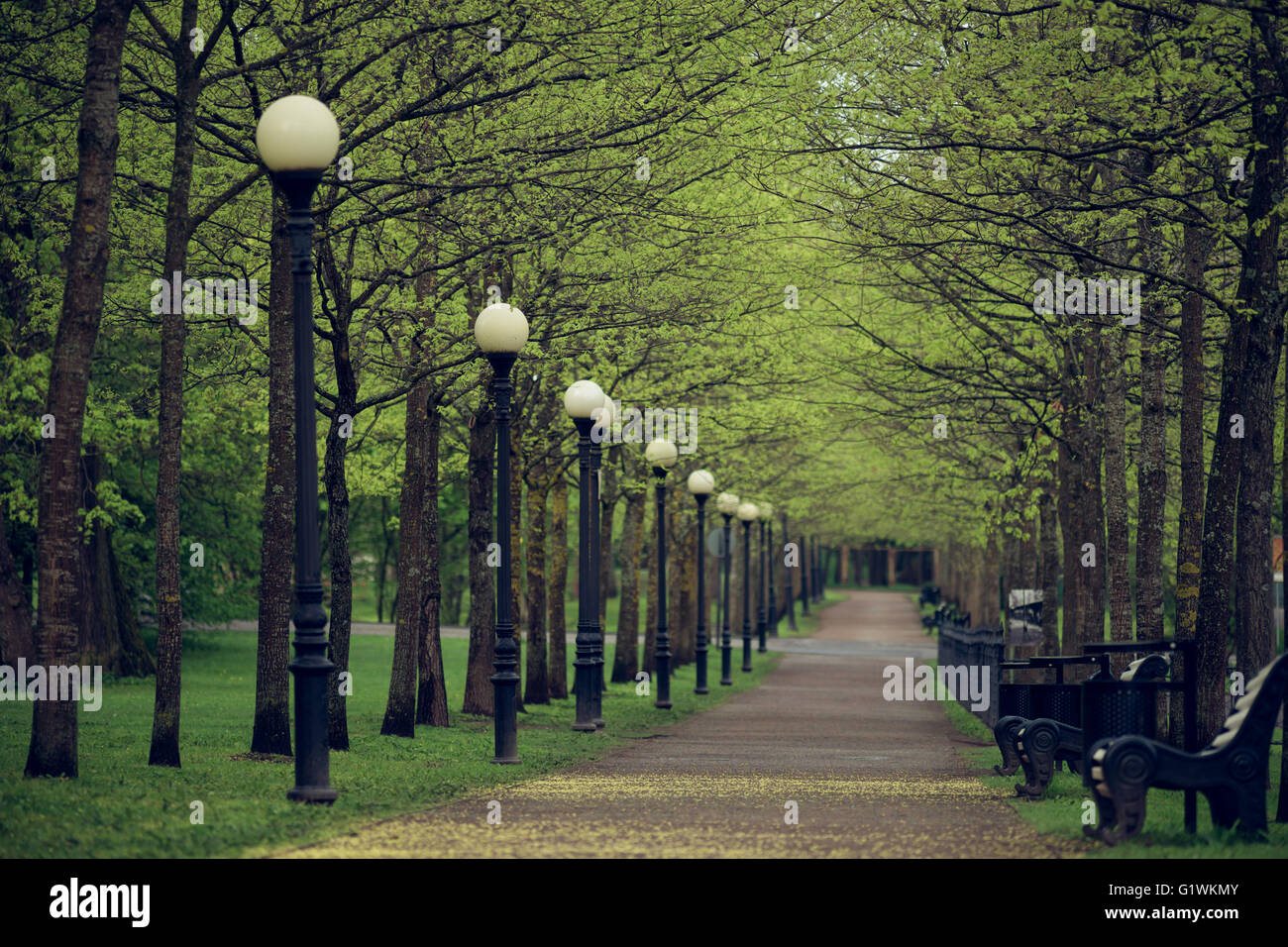 Alley perspective hi-res stock photography and images - Alamy