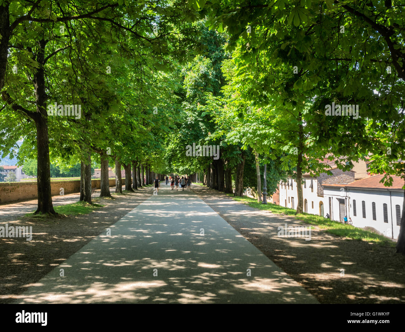 Lucca wall hi-res stock photography and images - Alamy