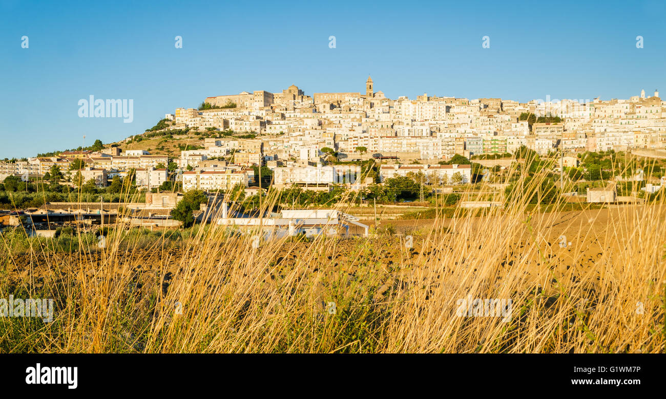 Minervino puglia hi-res stock photography and images - Alamy