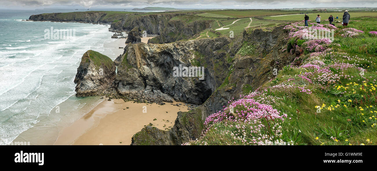 Panoramic steps hi-res stock photography and images - Alamy