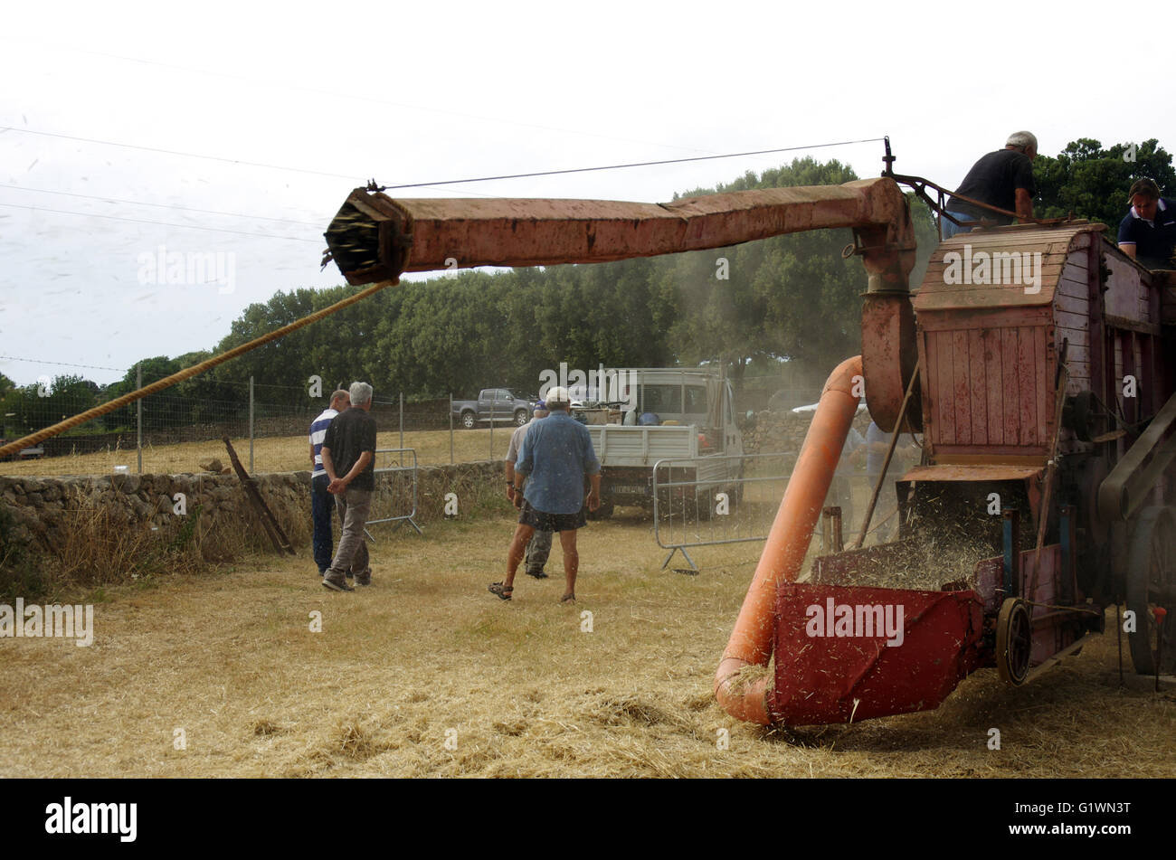 Traditional threshing in Sardinian farm Stock Photo - Alamy