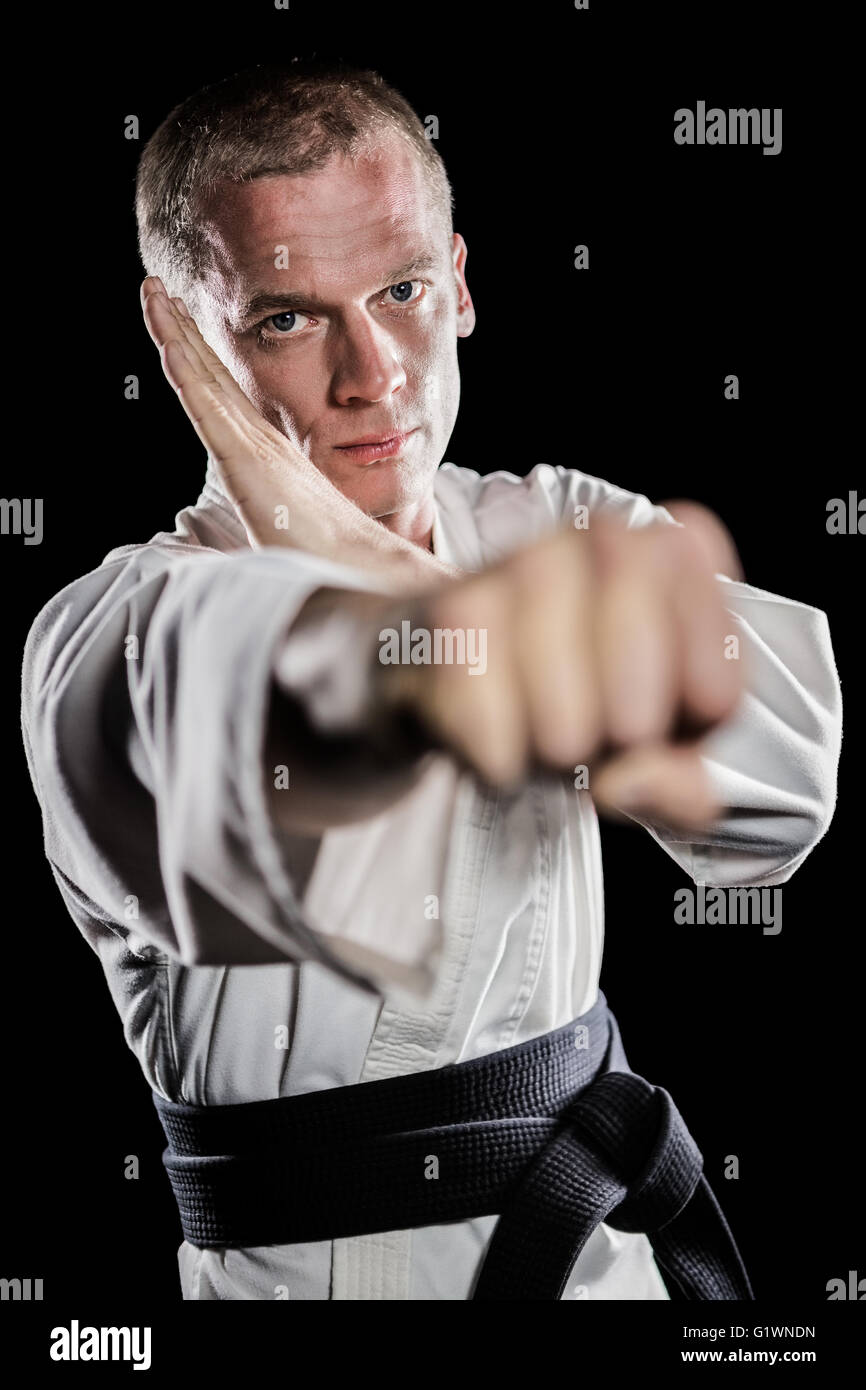 Fighter performing karate stance Stock Photo - Alamy