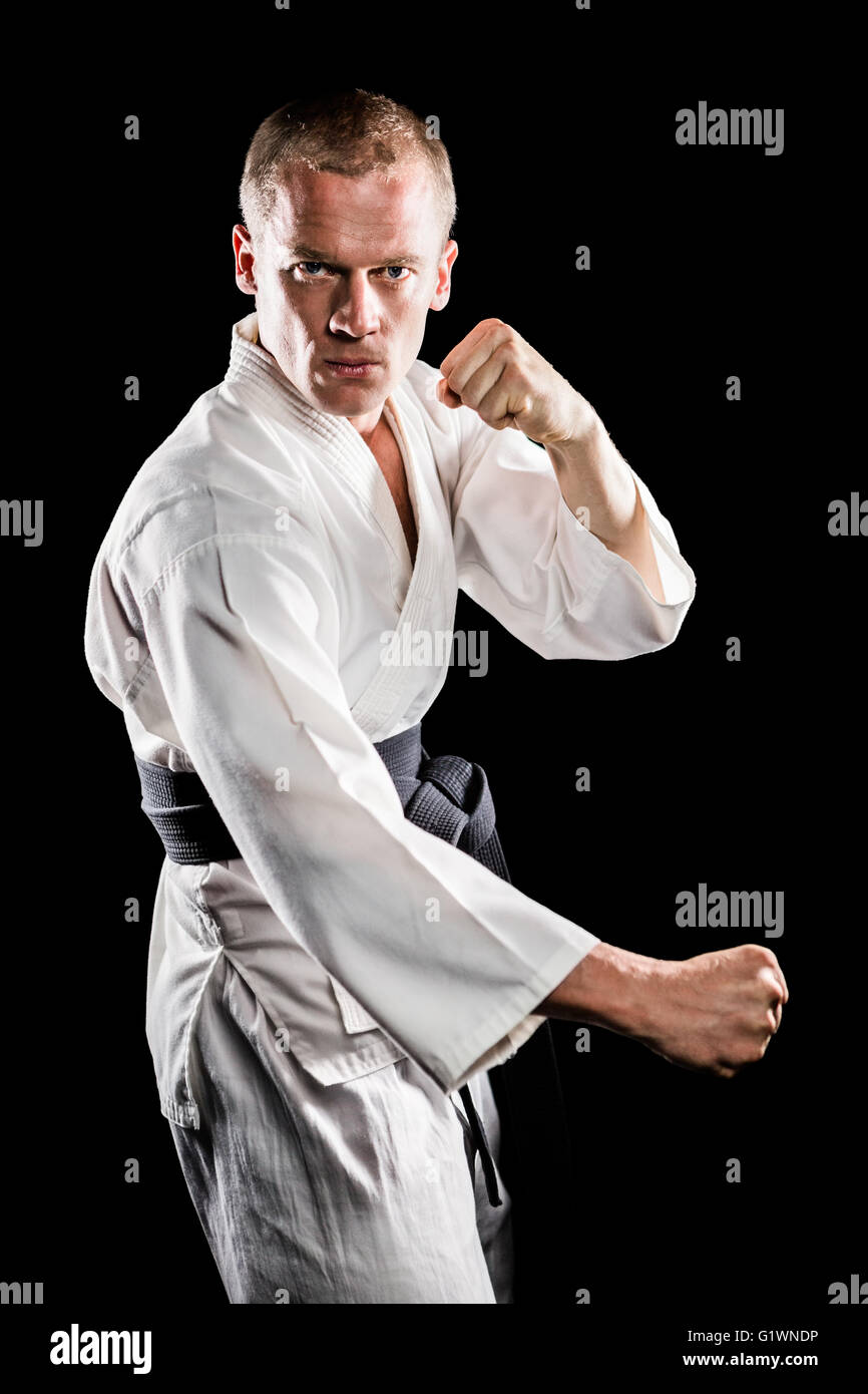Fighter performing karate stance Stock Photo - Alamy