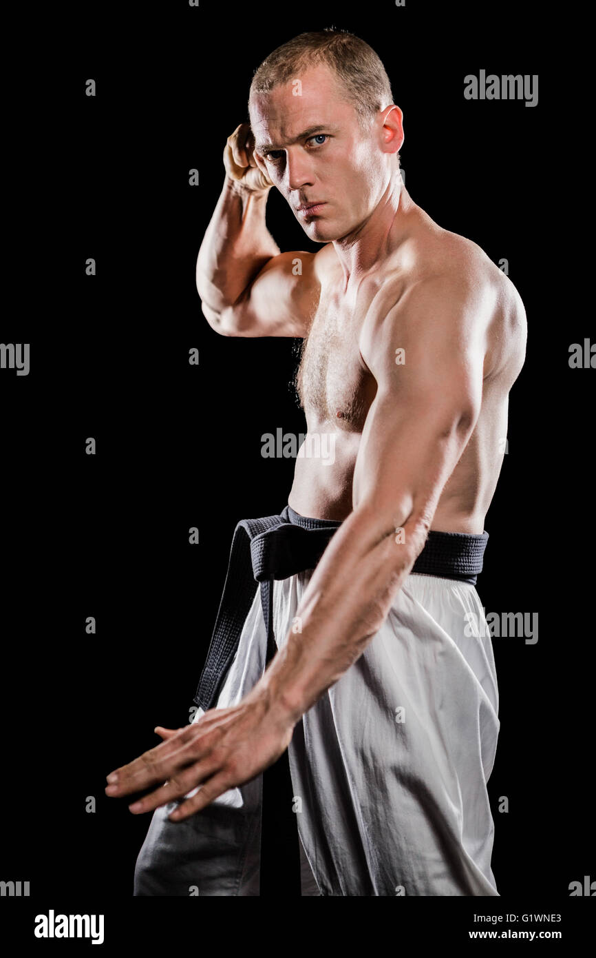 Fighter performing karate stance Stock Photo - Alamy