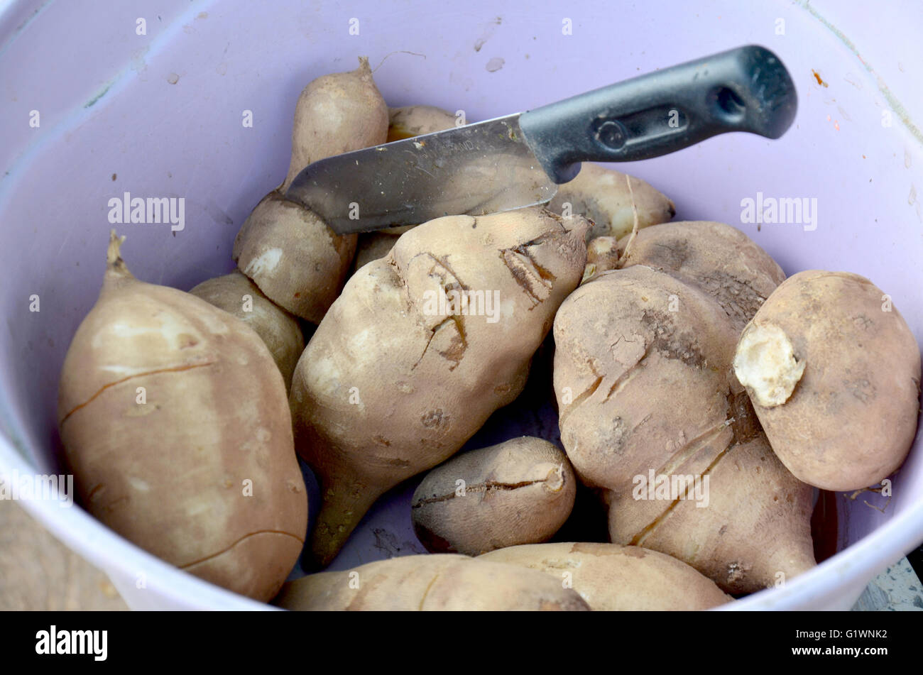 Slices of raw yam hi-res stock photography and images - Alamy