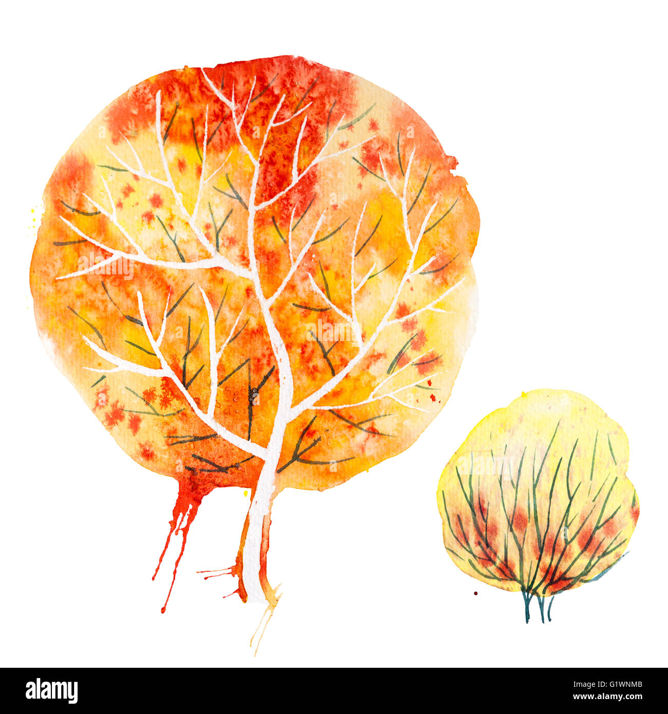 Watercolor chestnut Cut Out Stock Images & Pictures - Alamy