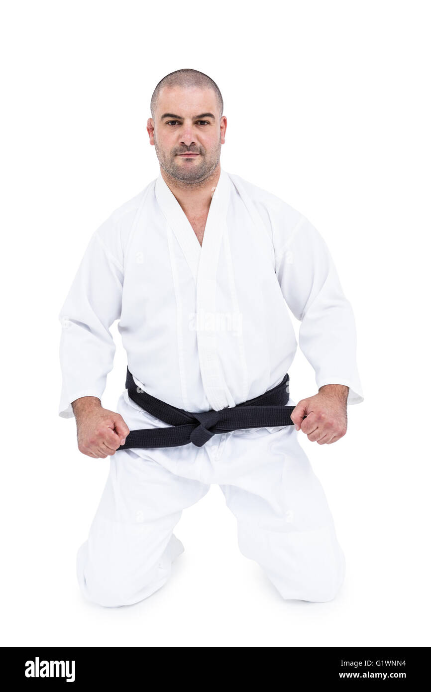 Fighter performing karate stance Stock Photo - Alamy