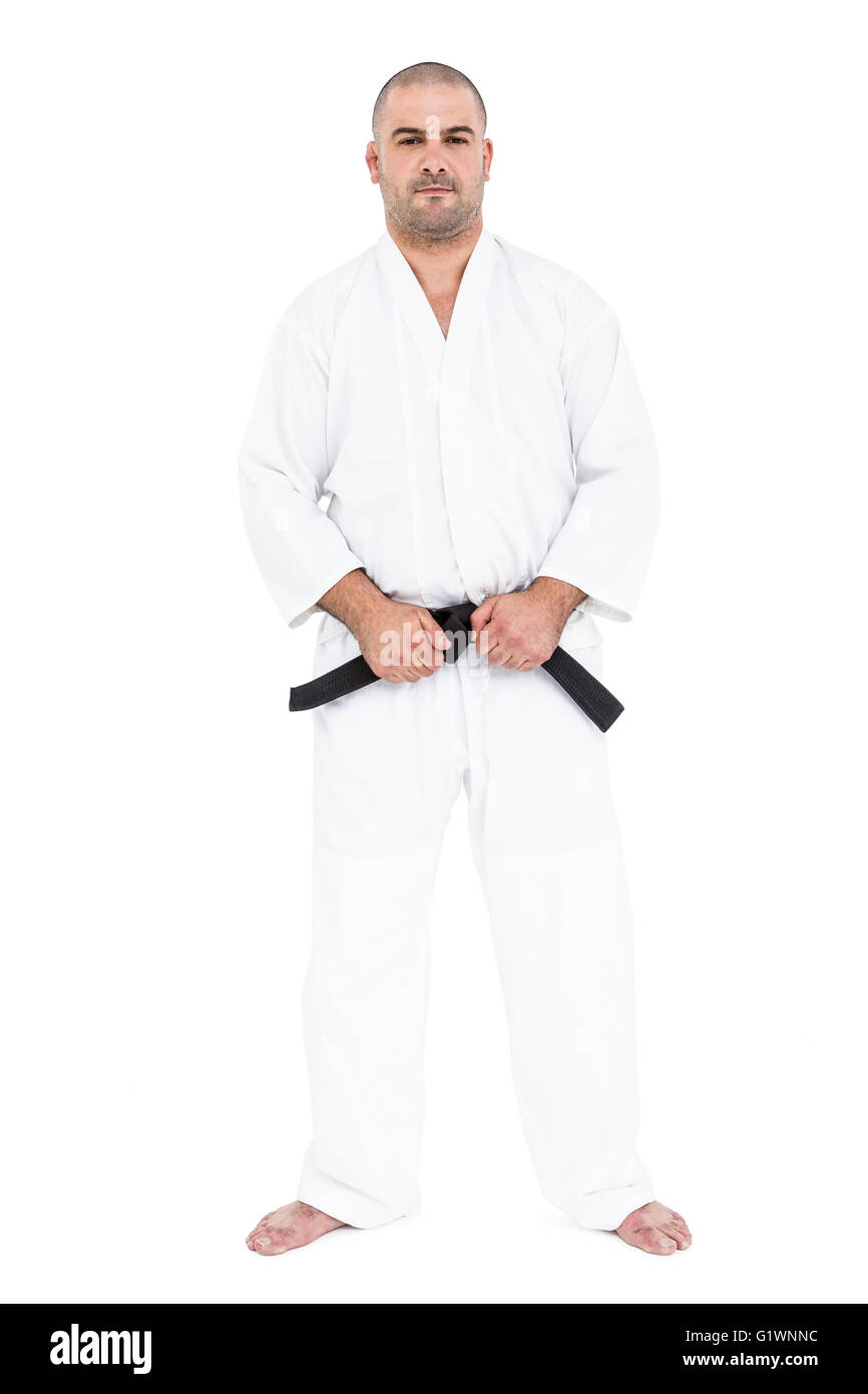 Fighter performing karate stance Stock Photo - Alamy