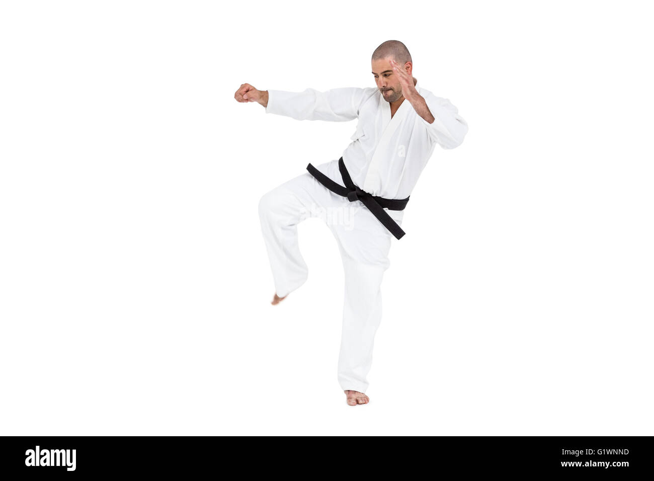 Fighter performing karate stance Stock Photo - Alamy