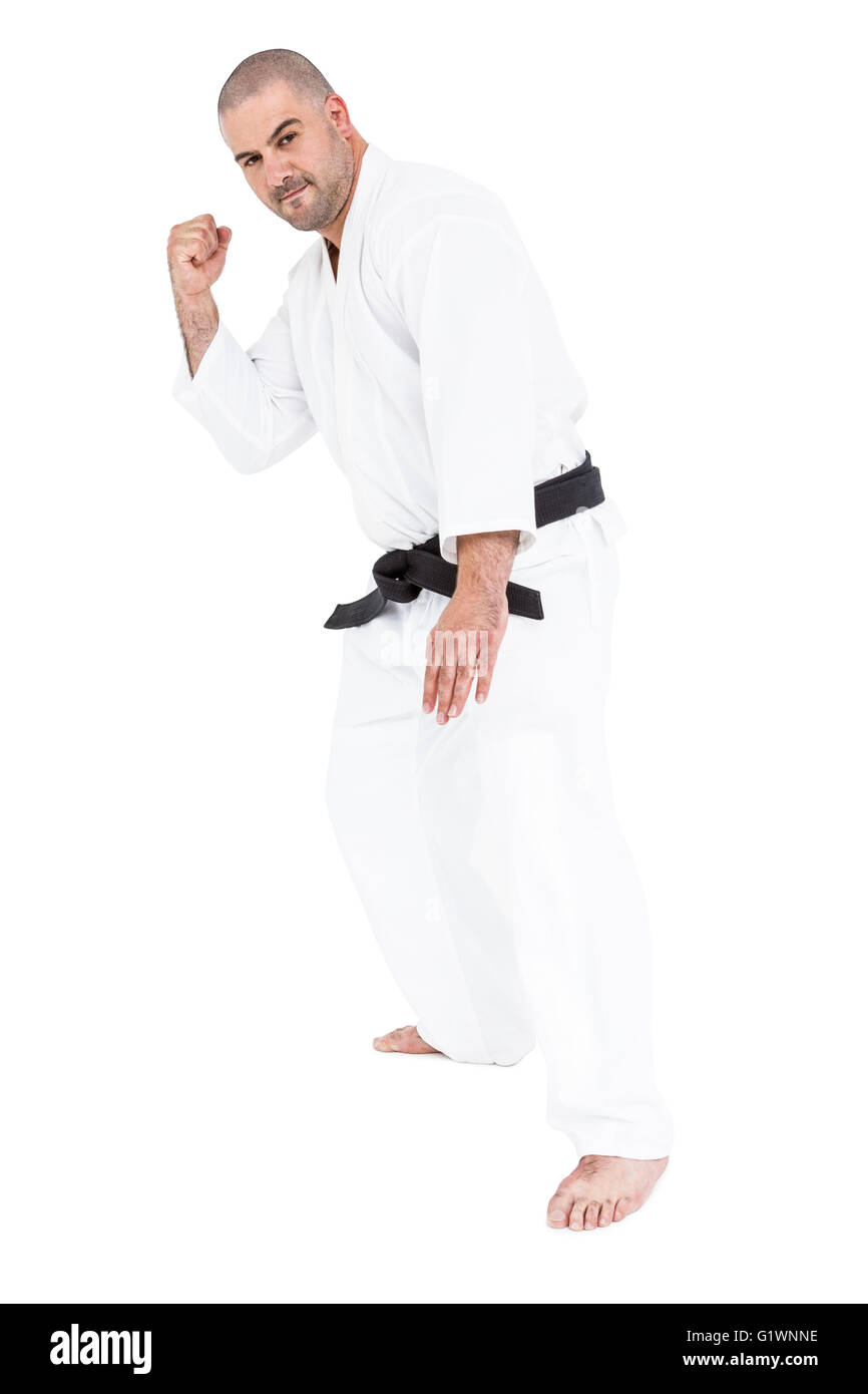 Fighter performing karate stance Stock Photo - Alamy