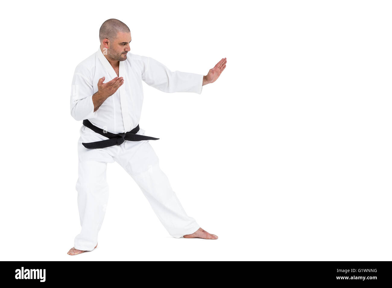 Fighter performing karate stance Stock Photo - Alamy