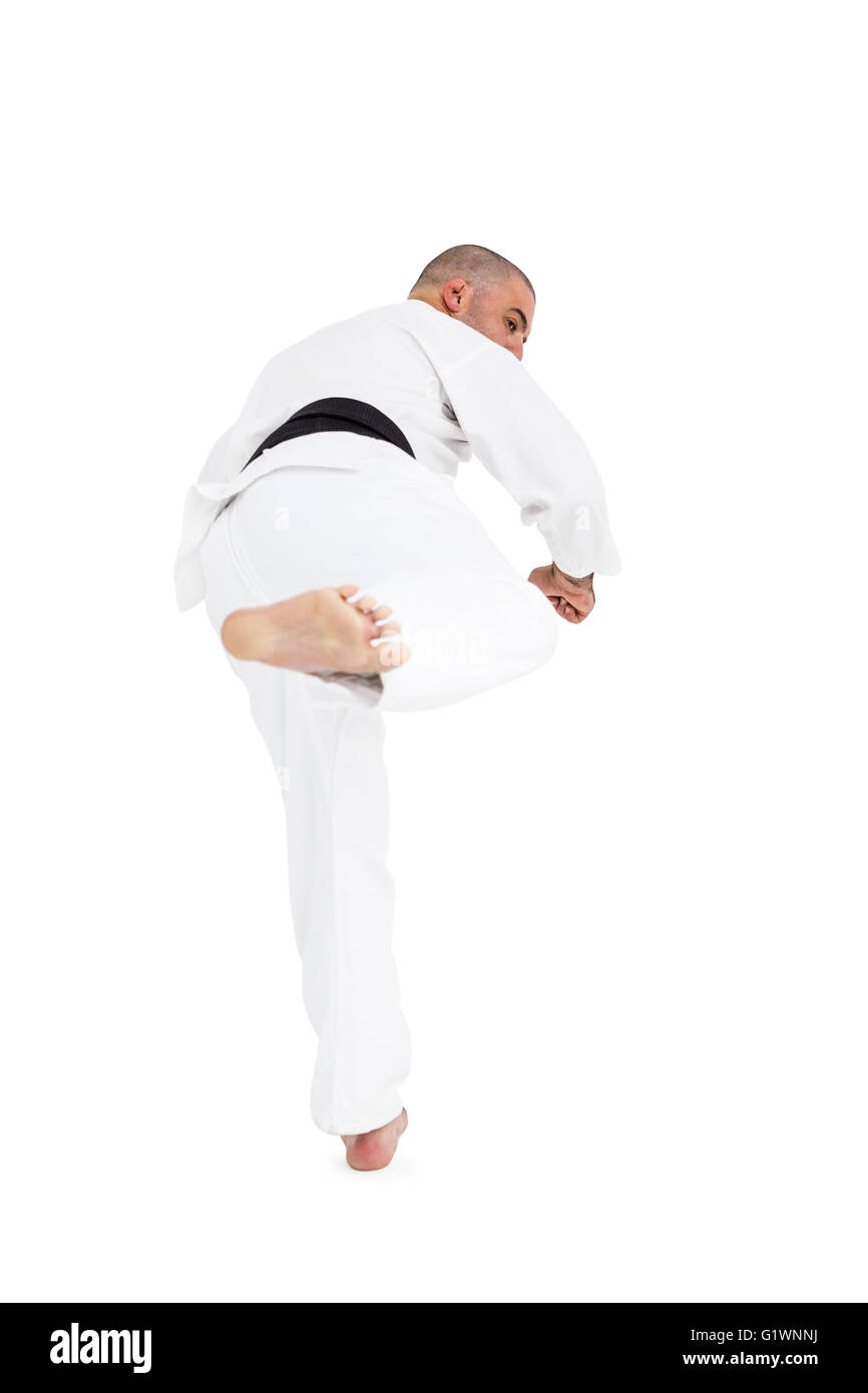 Fighter performing karate stance Stock Photo - Alamy